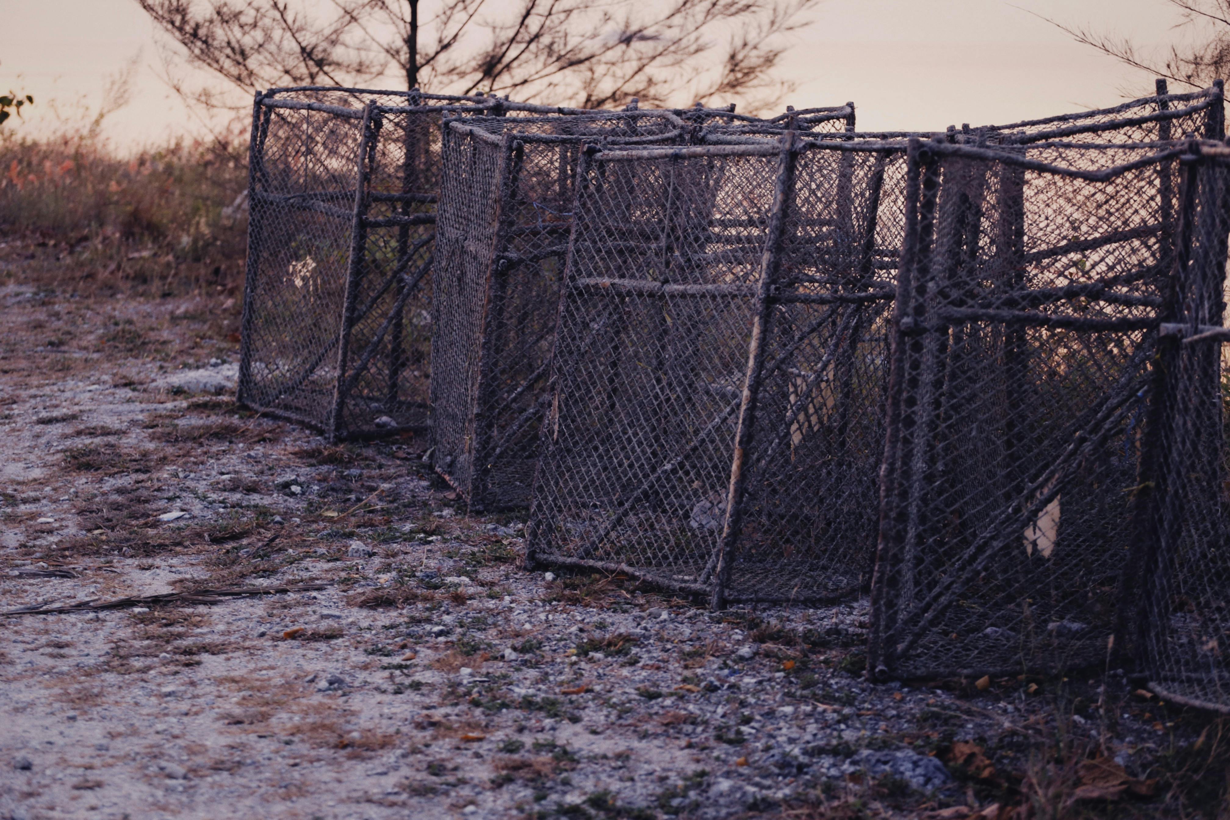 Empty Cage Photos, Download The BEST Free Empty Cage Stock Photos & HD ...