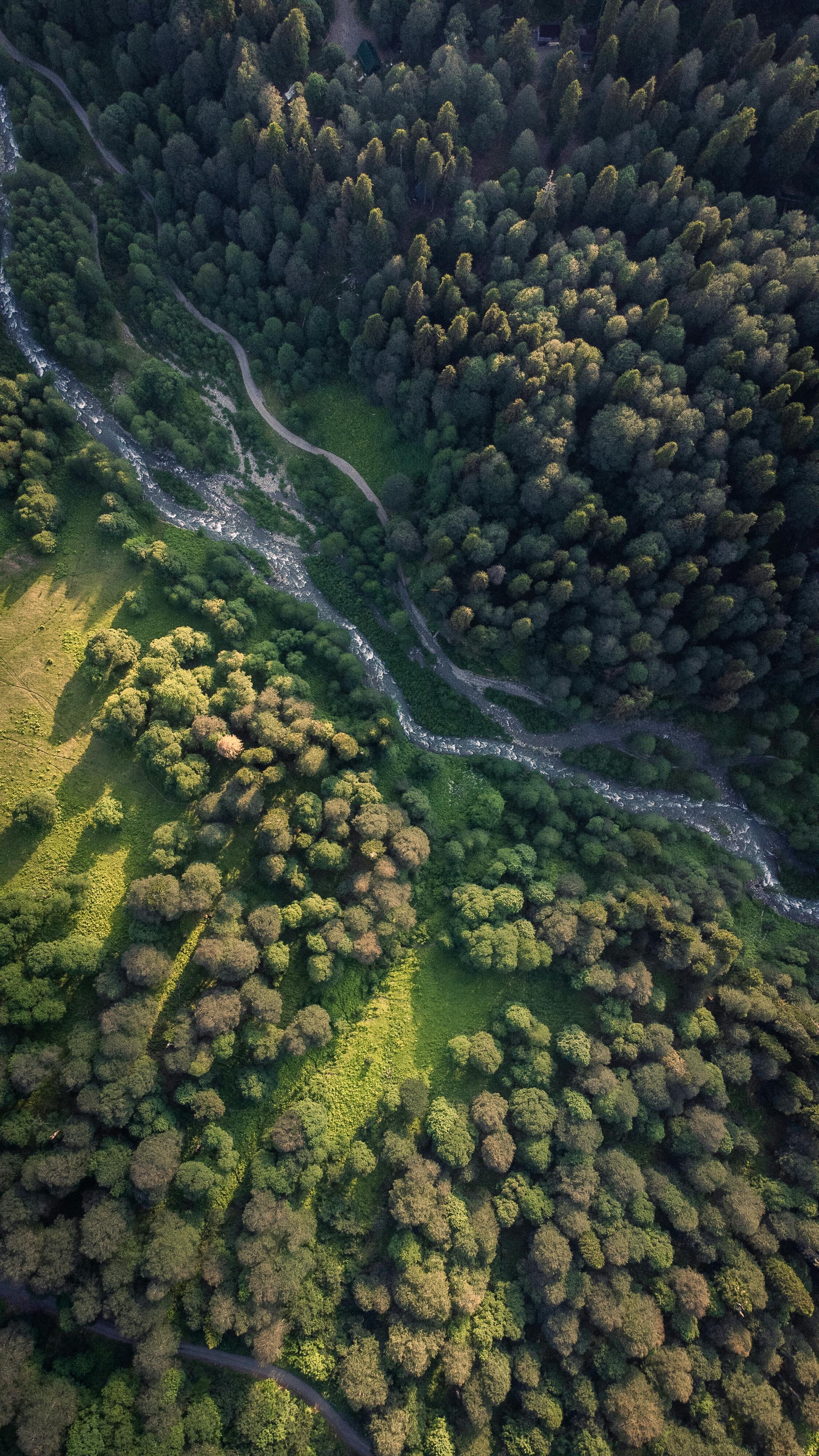 Birds Eye View of a River in the Green Forest · Free Stock Photo