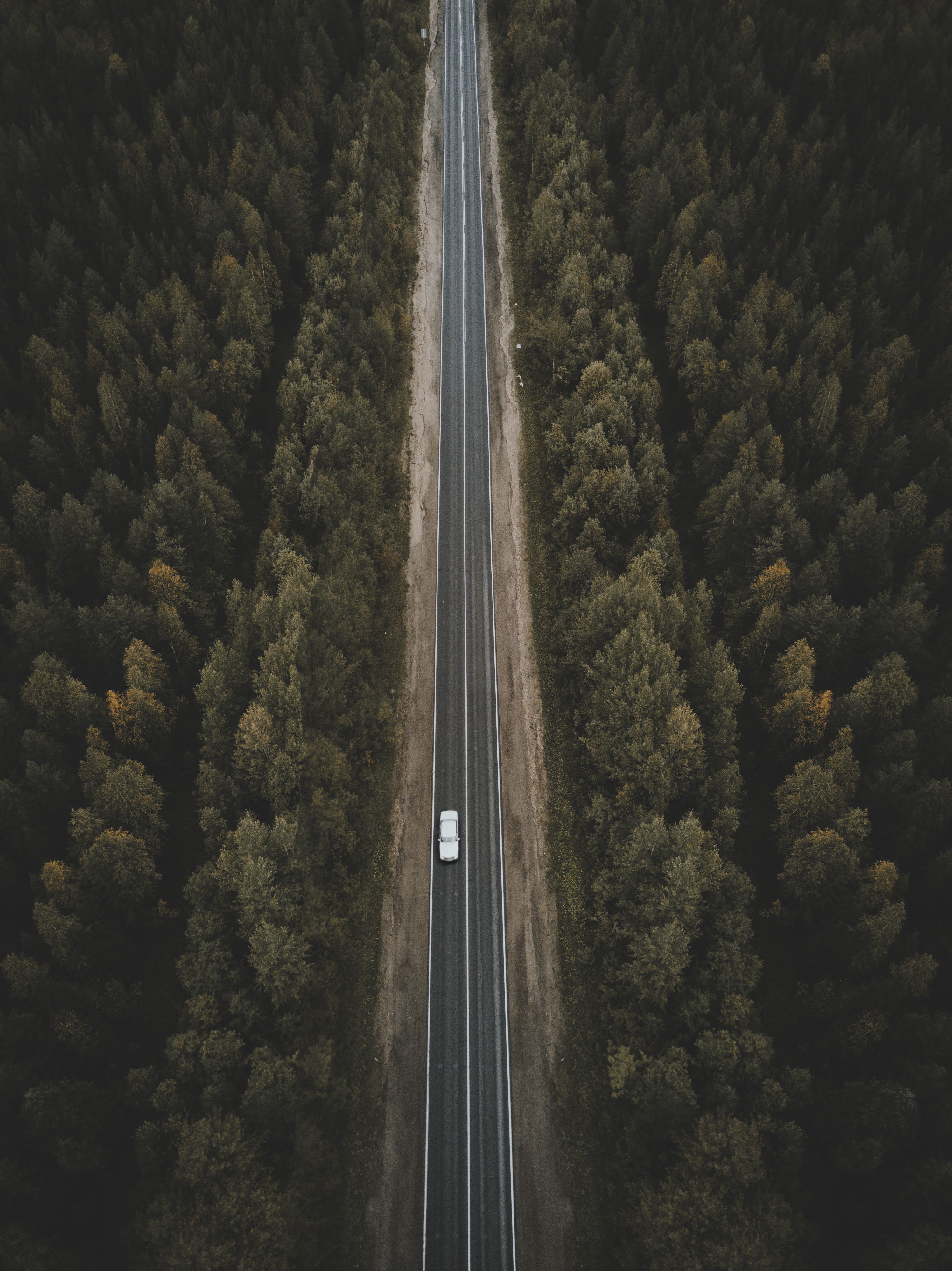 A White Car in the Road · Free Stock Photo