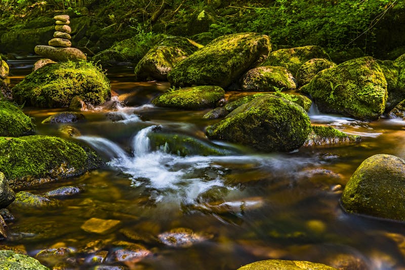 Calming Nature Photos, Download The BEST Free Calming Nature Stock ...