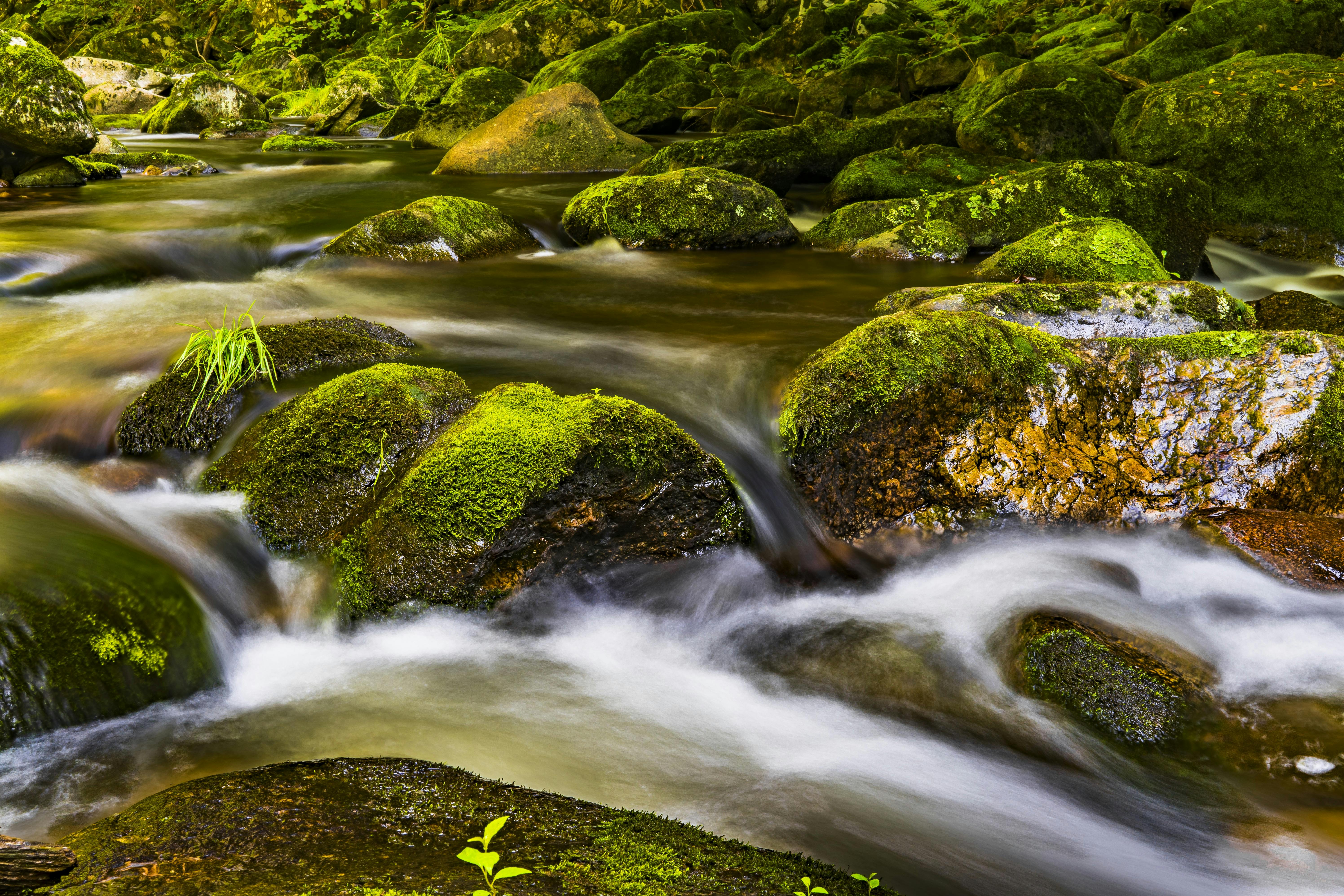 Brow and Black Rocks With Green Grass · Free Stock Photo