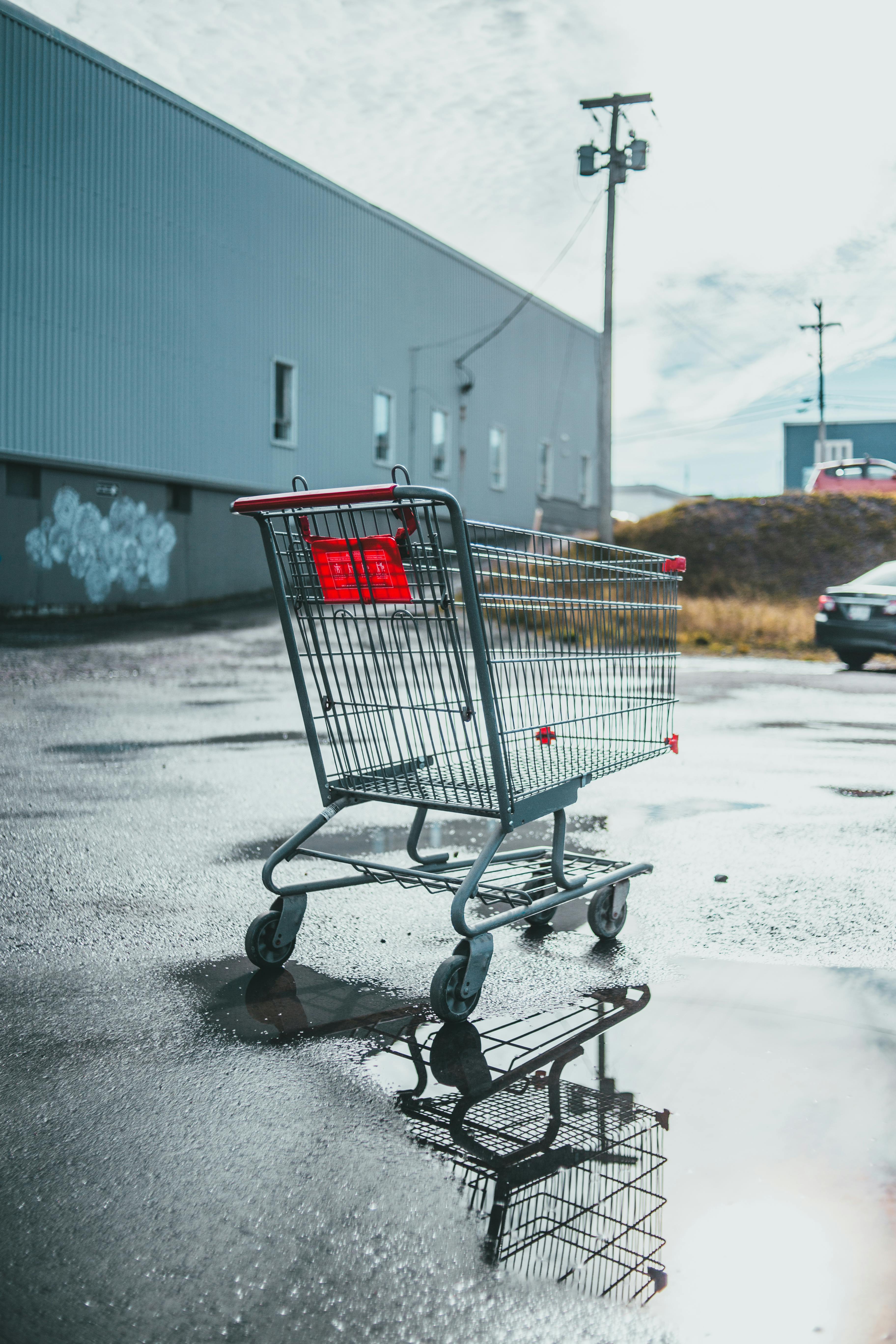 A Homeless Man Pushing Shopping Cart · Free Stock Photo