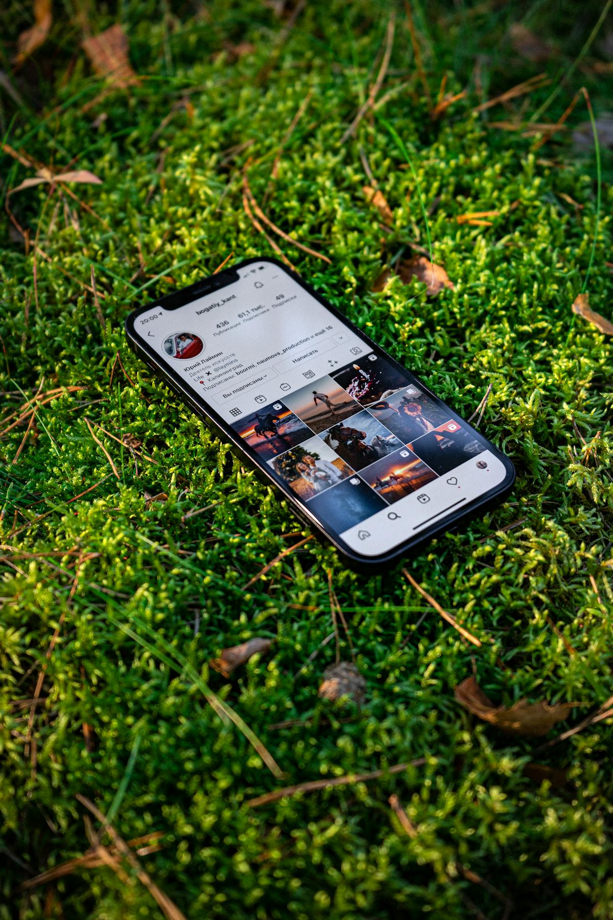 Discord Profile Pictures Photos, Download The BEST Free Discord Profile ...