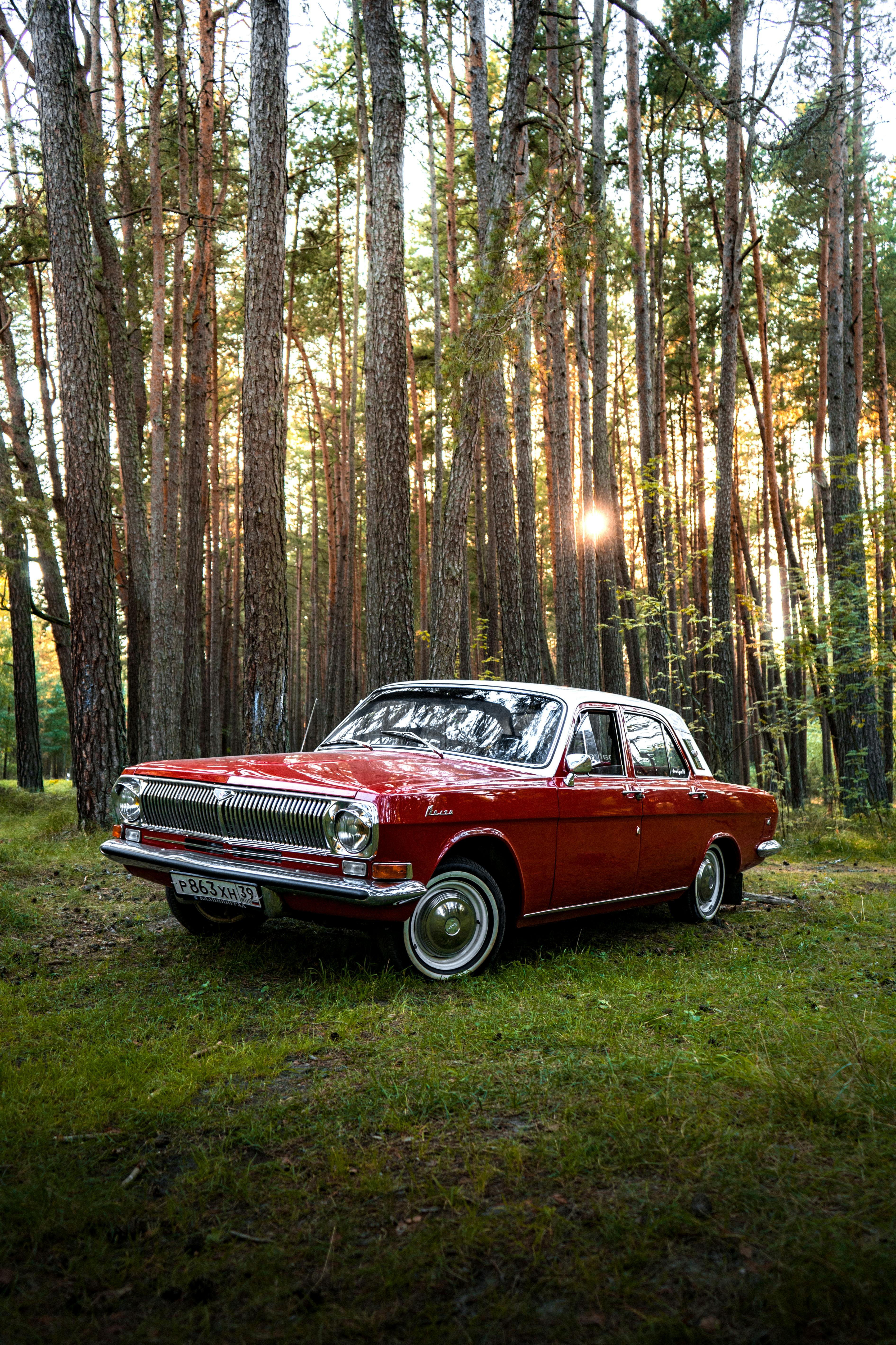 Classic Red Car in Forest · Free Stock Photo