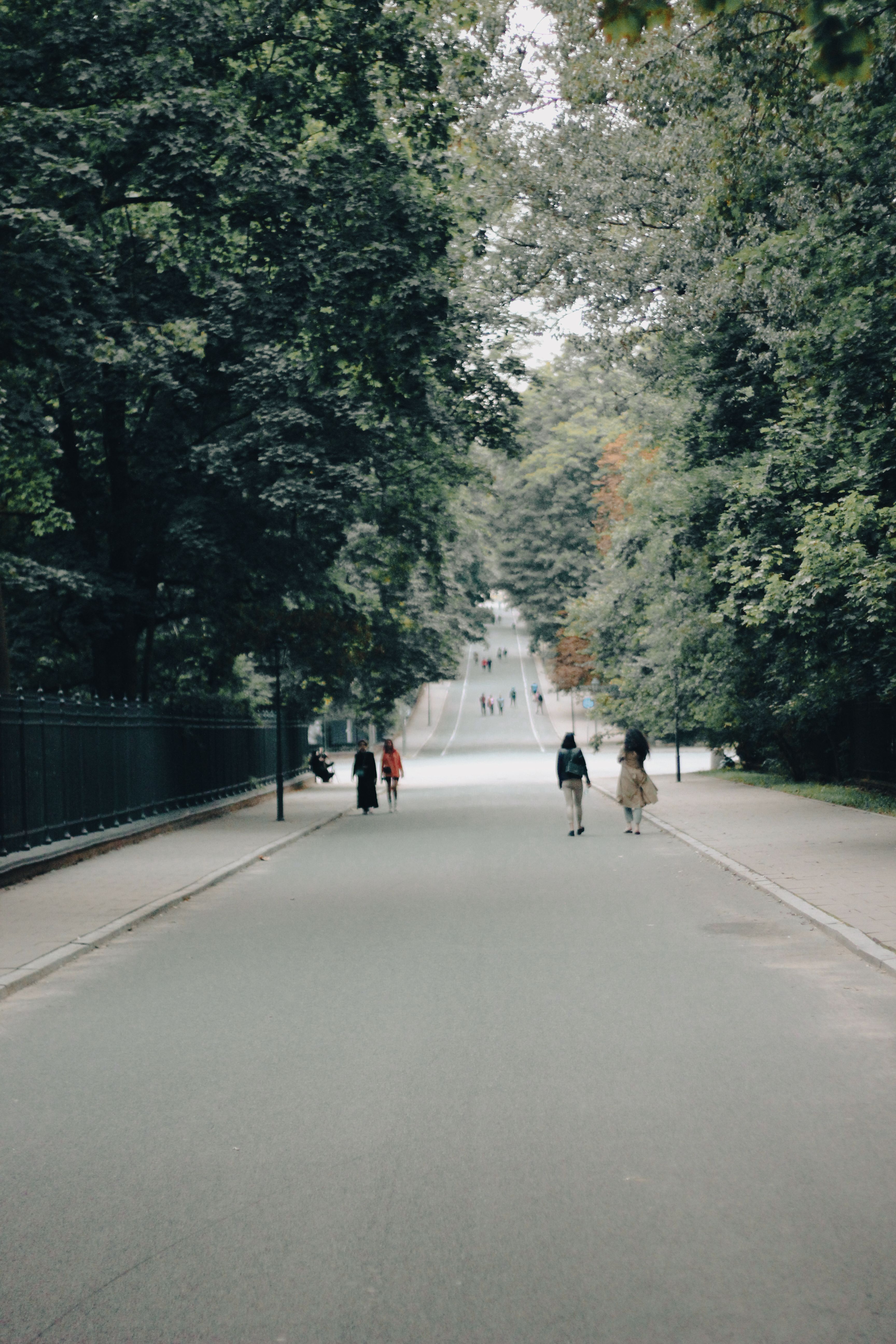 People Walking on a Road · Free Stock Photo