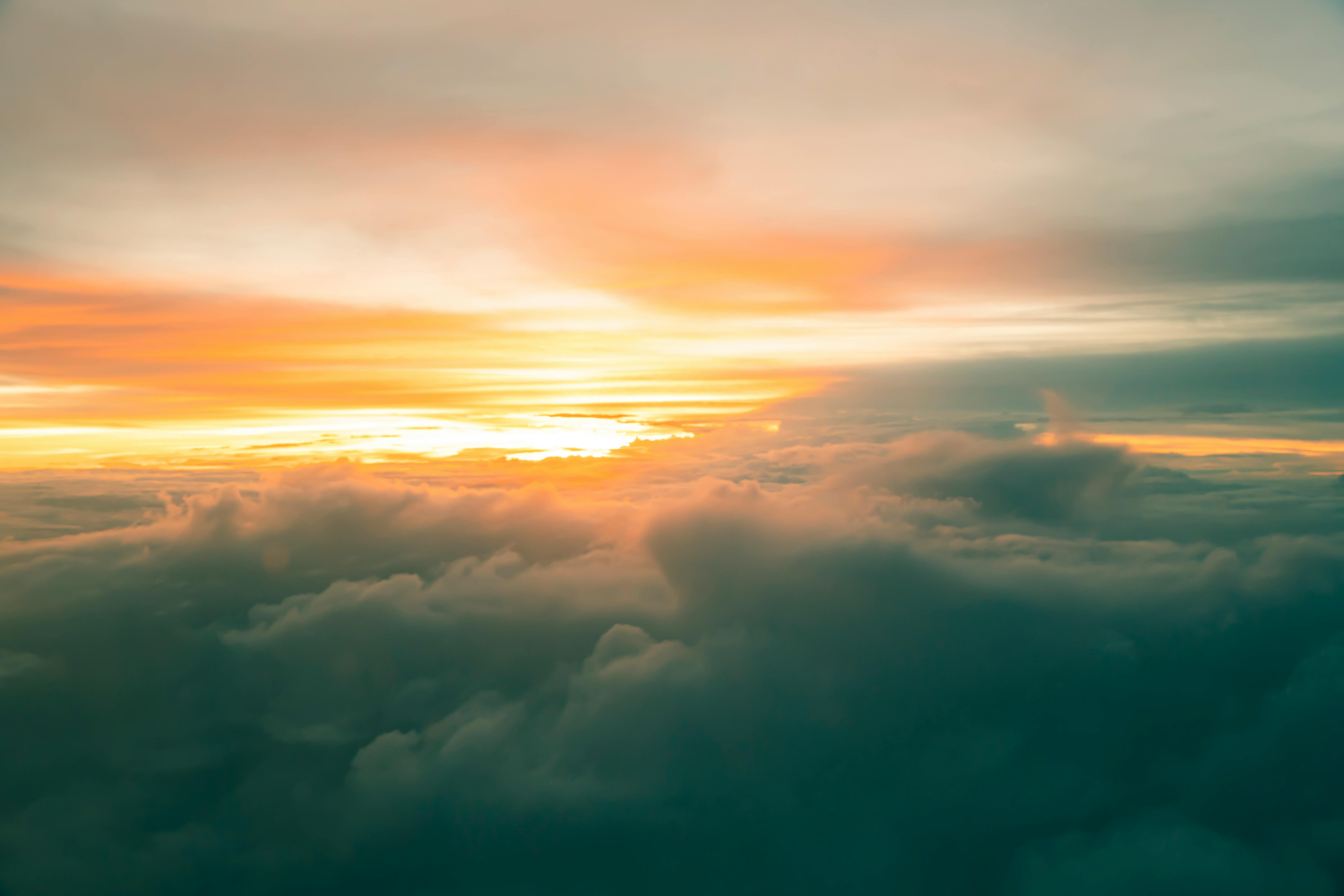 AVICHAL LODHI - 사진