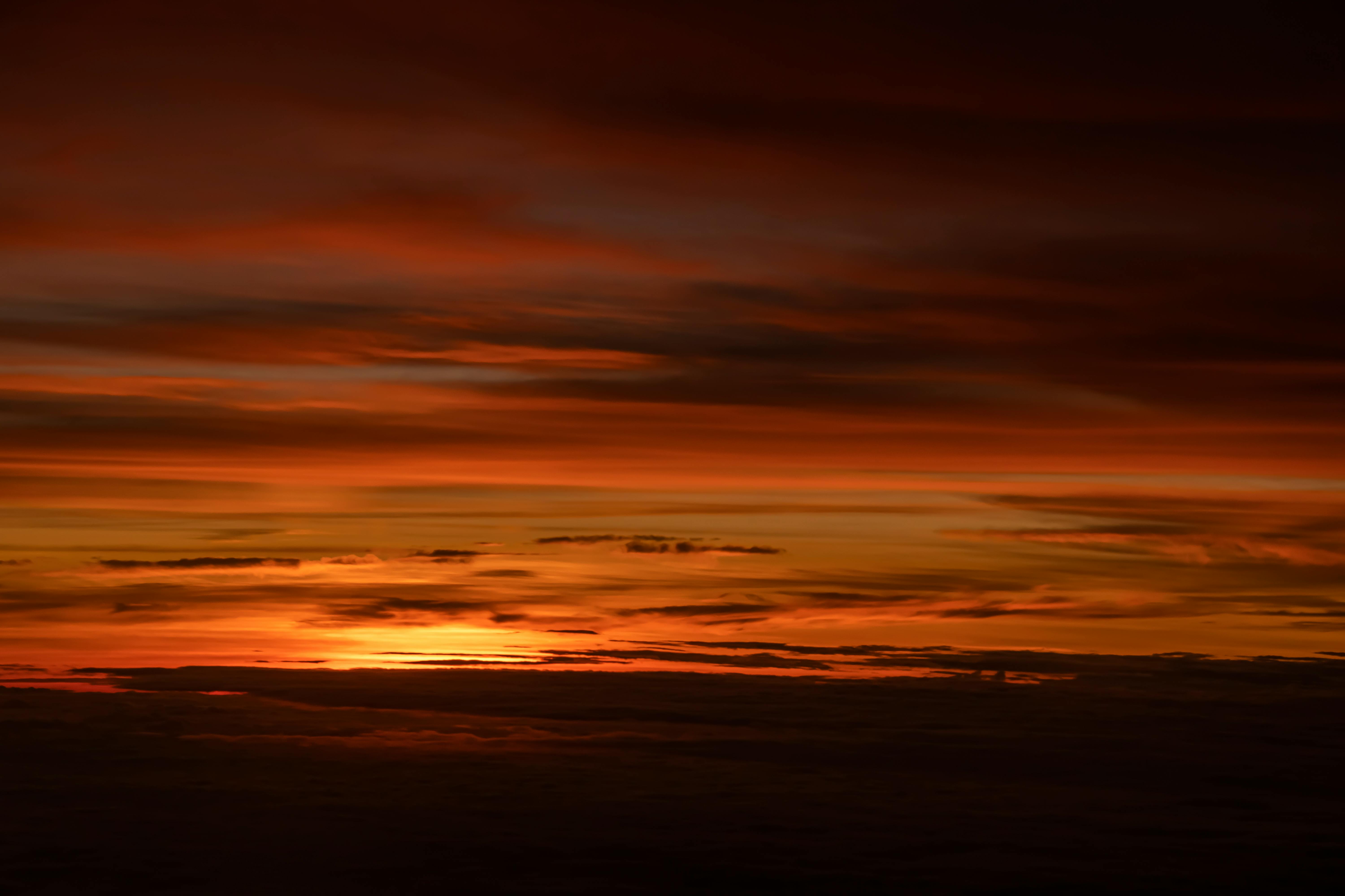 AVICHAL LODHI - 攝影