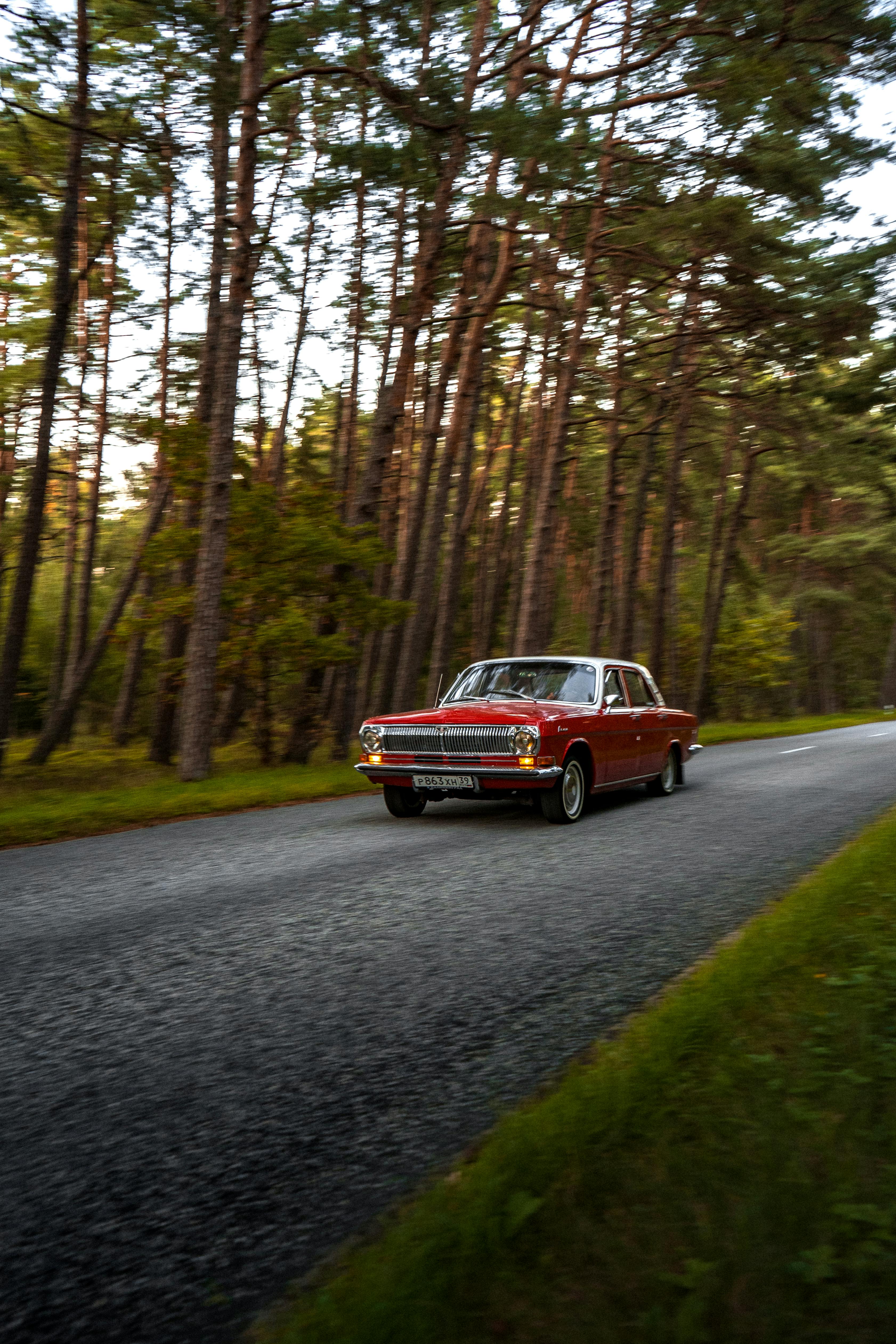 Red on Road in Between Trees · Free Stock Photo