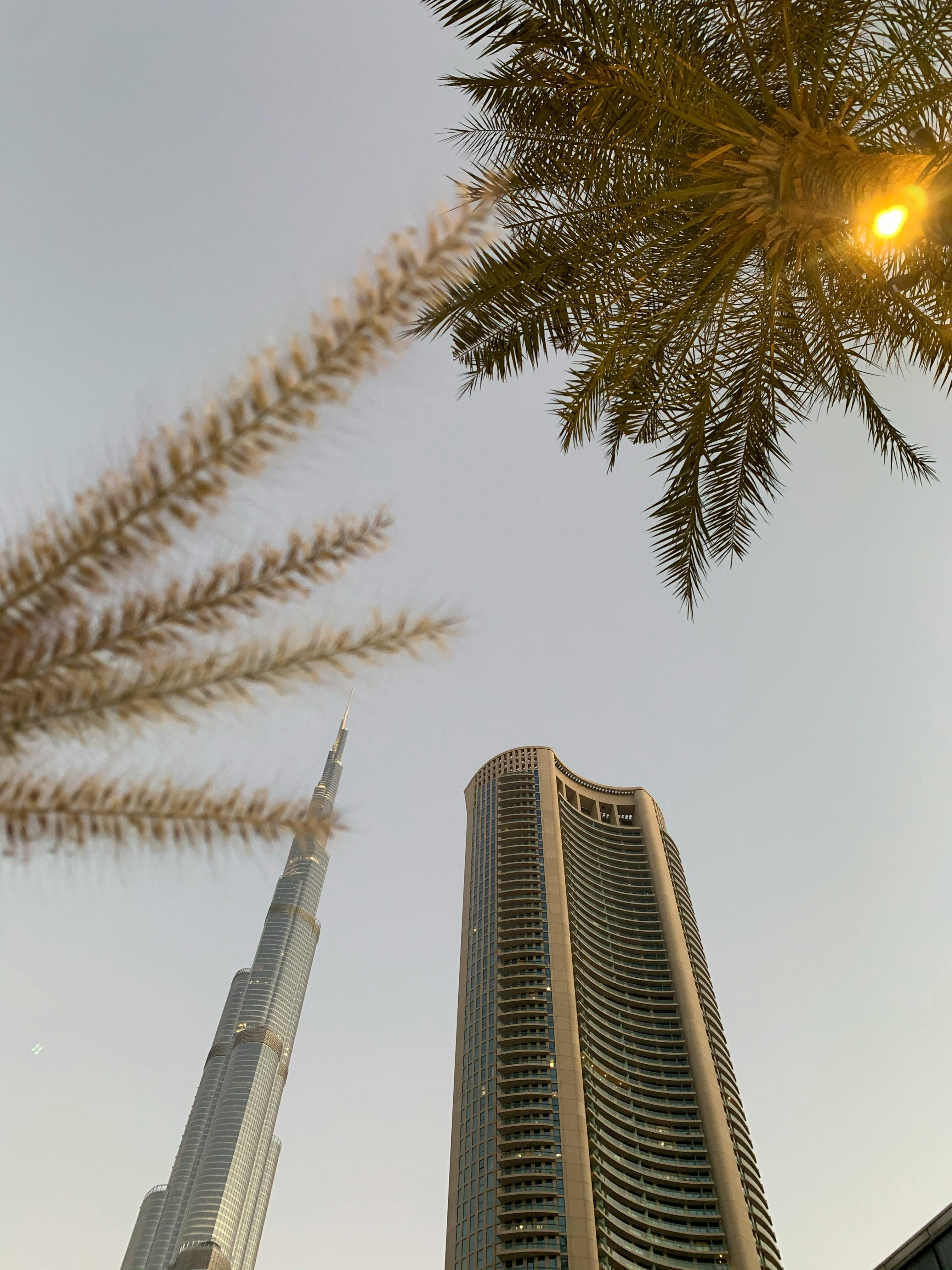 Low Angle Photography of High Rise Building · Free Stock Photo