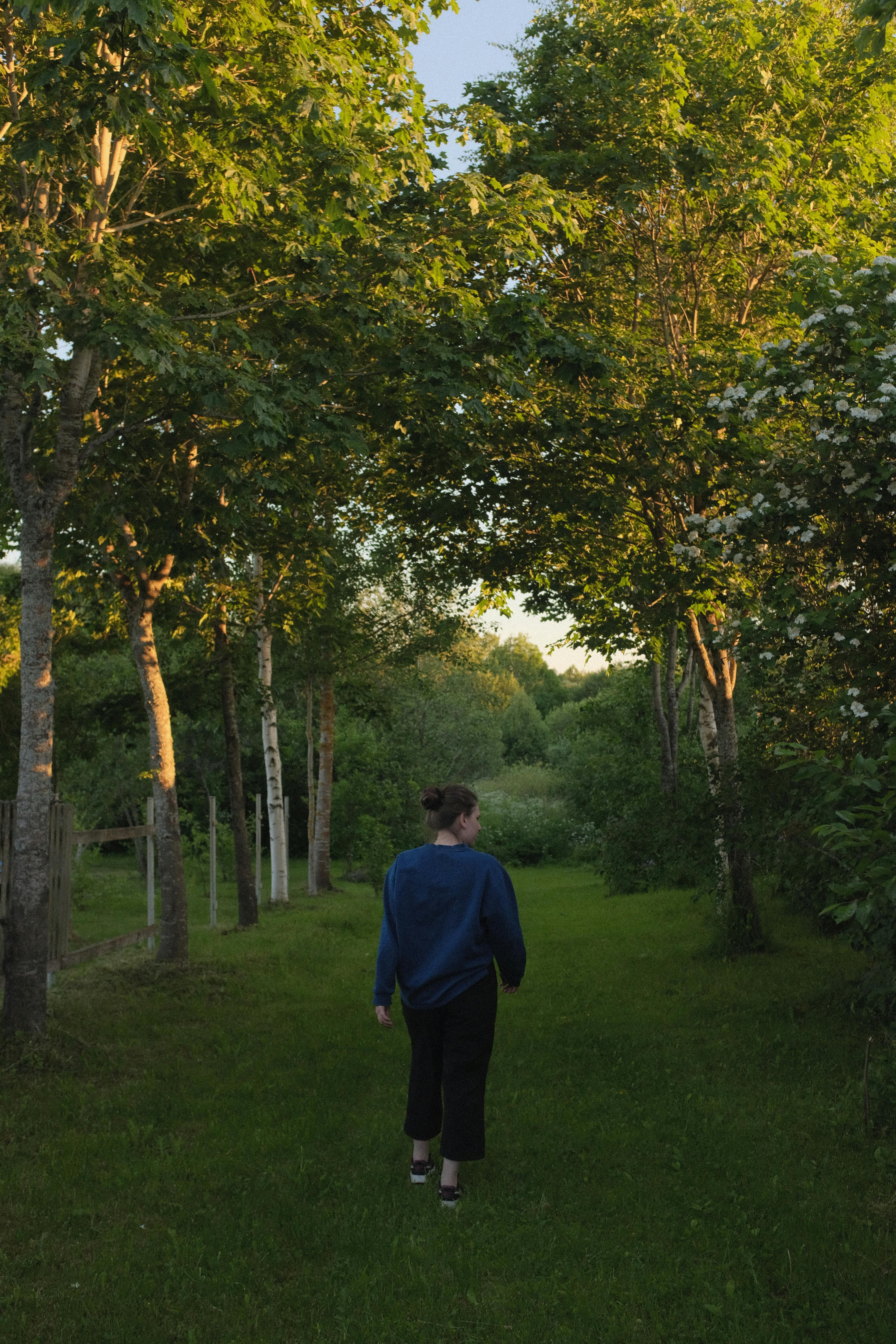Woman Walking Between Trees in Park · Free Stock Photo