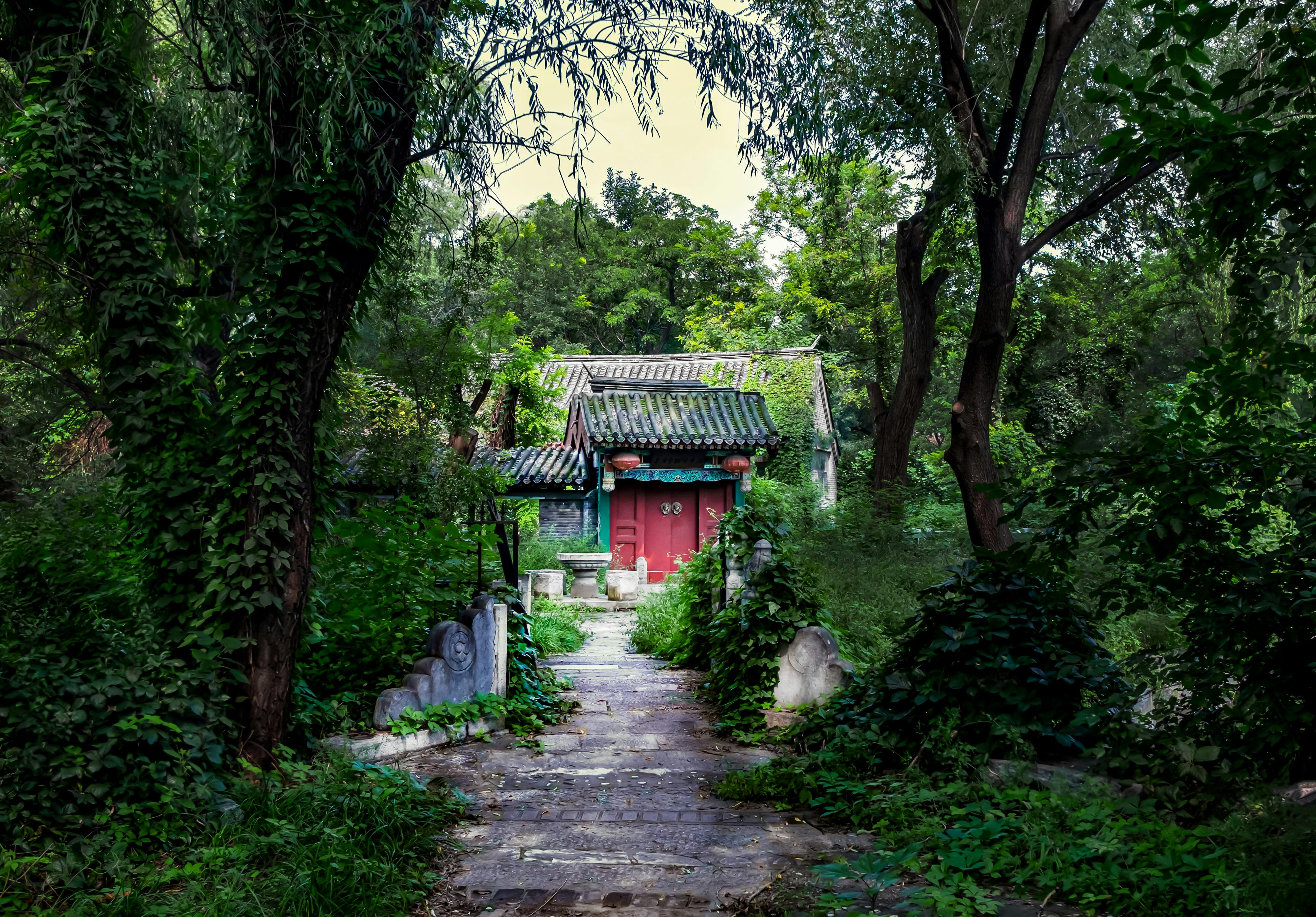 Leo Zhao - Photography