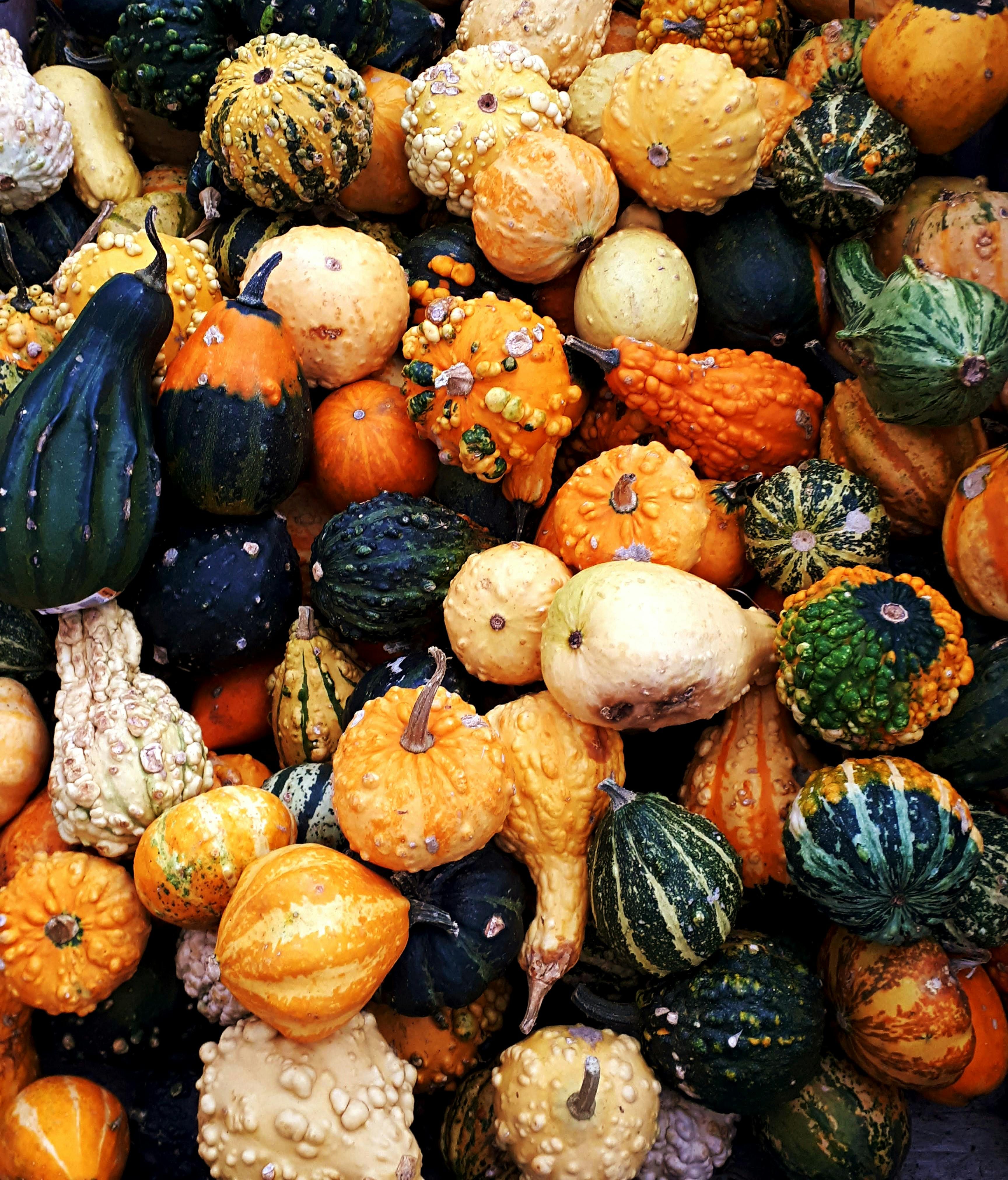 Fall Pumpkins Wallpaper Photos, Download The BEST Free Fall Pumpkins ...