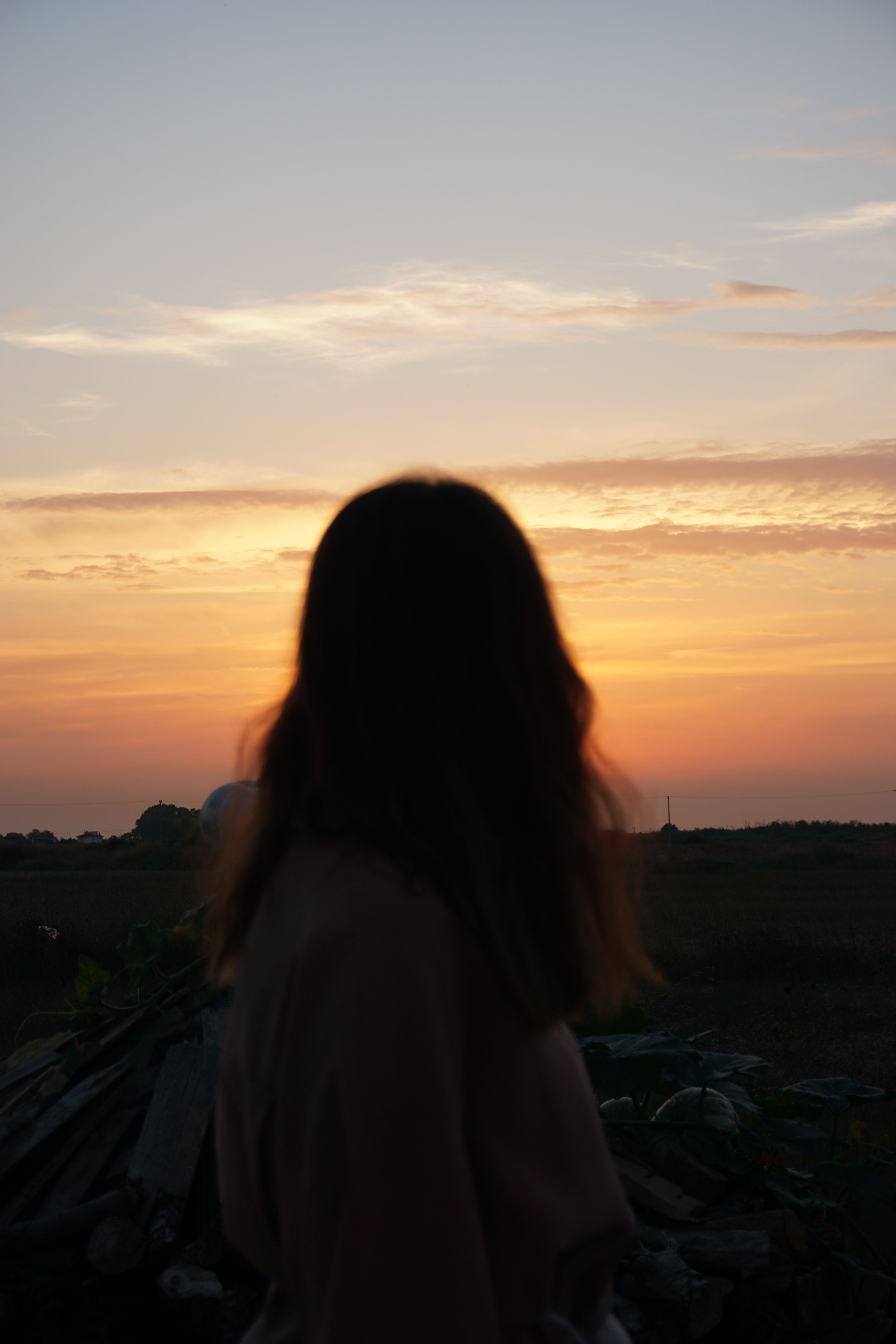 Back View of a Woman Looking at Sunset · Free Stock Photo
