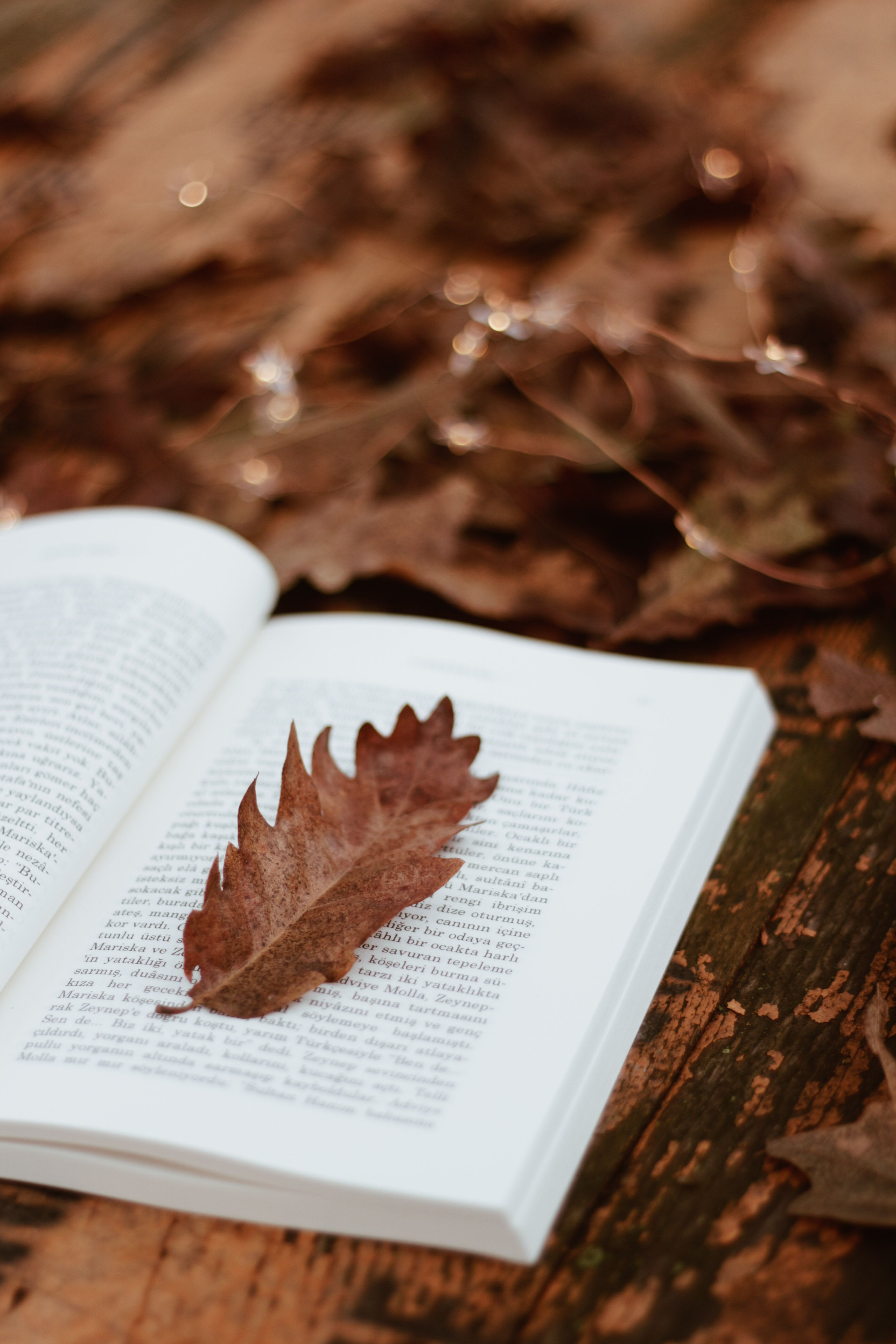 A Brown Dried Leaf on an Open Book · Free Stock Photo