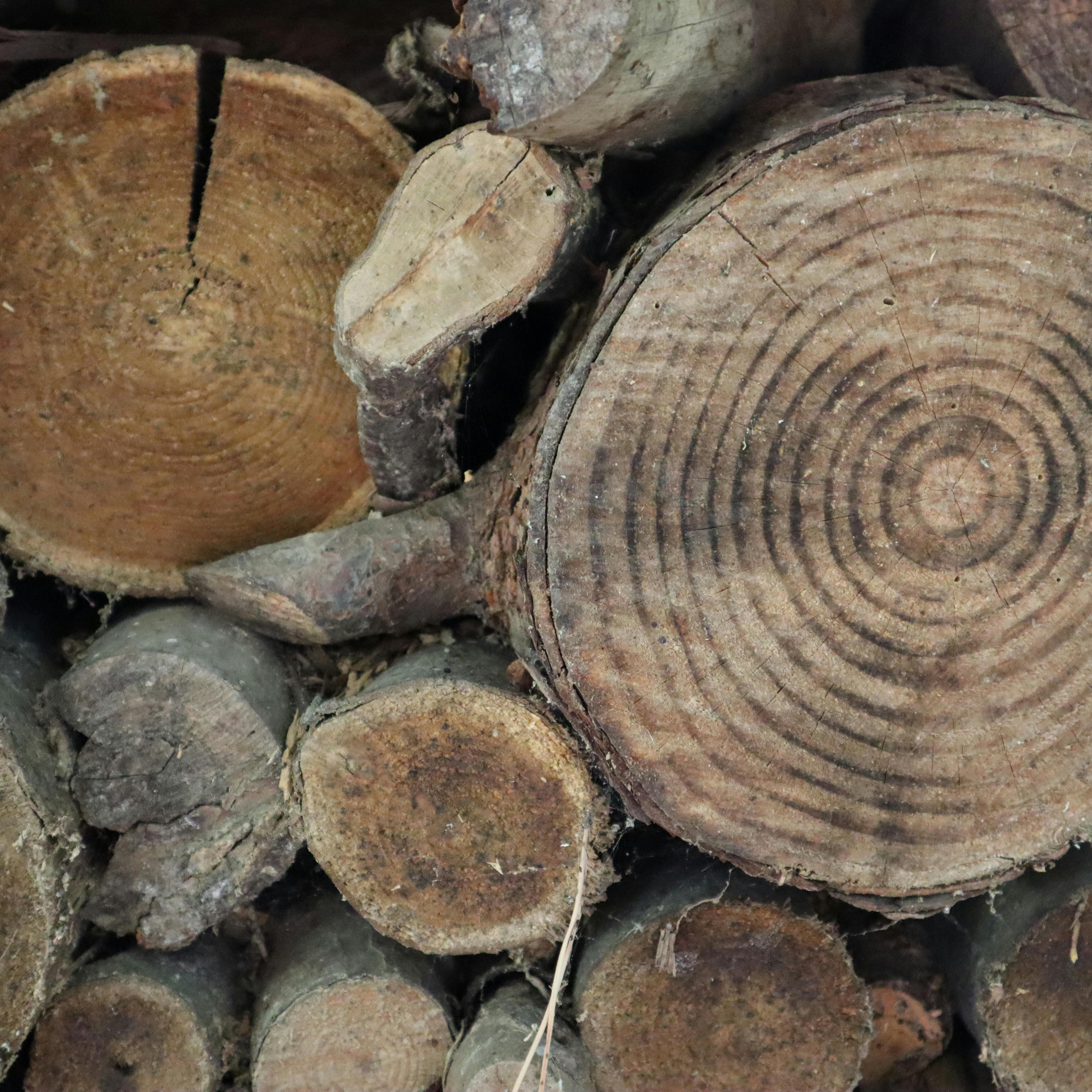 Nature 14 Photos & Videos Collected by Giulia