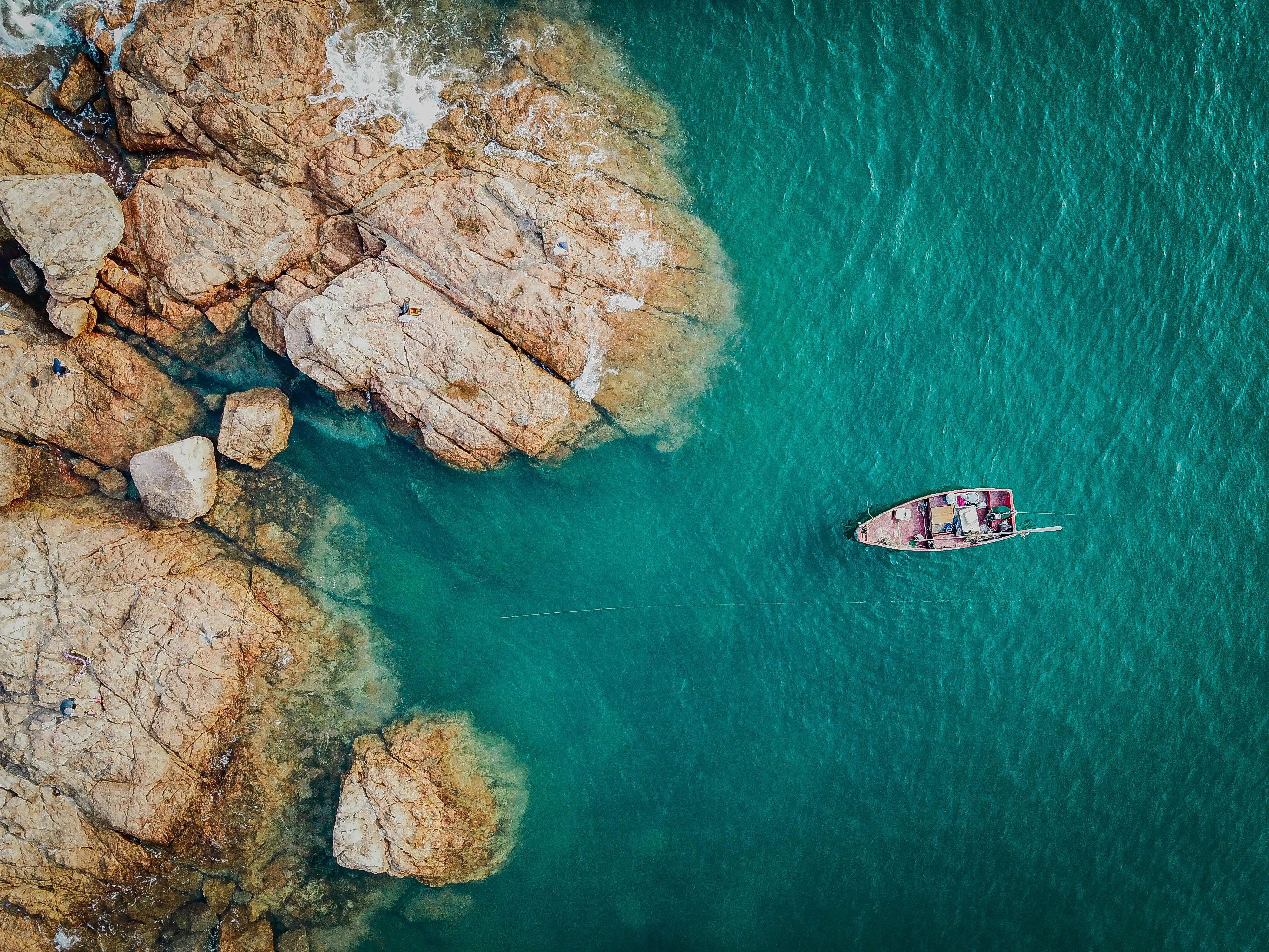 900+ Best Pro Photos · 100% Free Download · Pexels Stock Photos