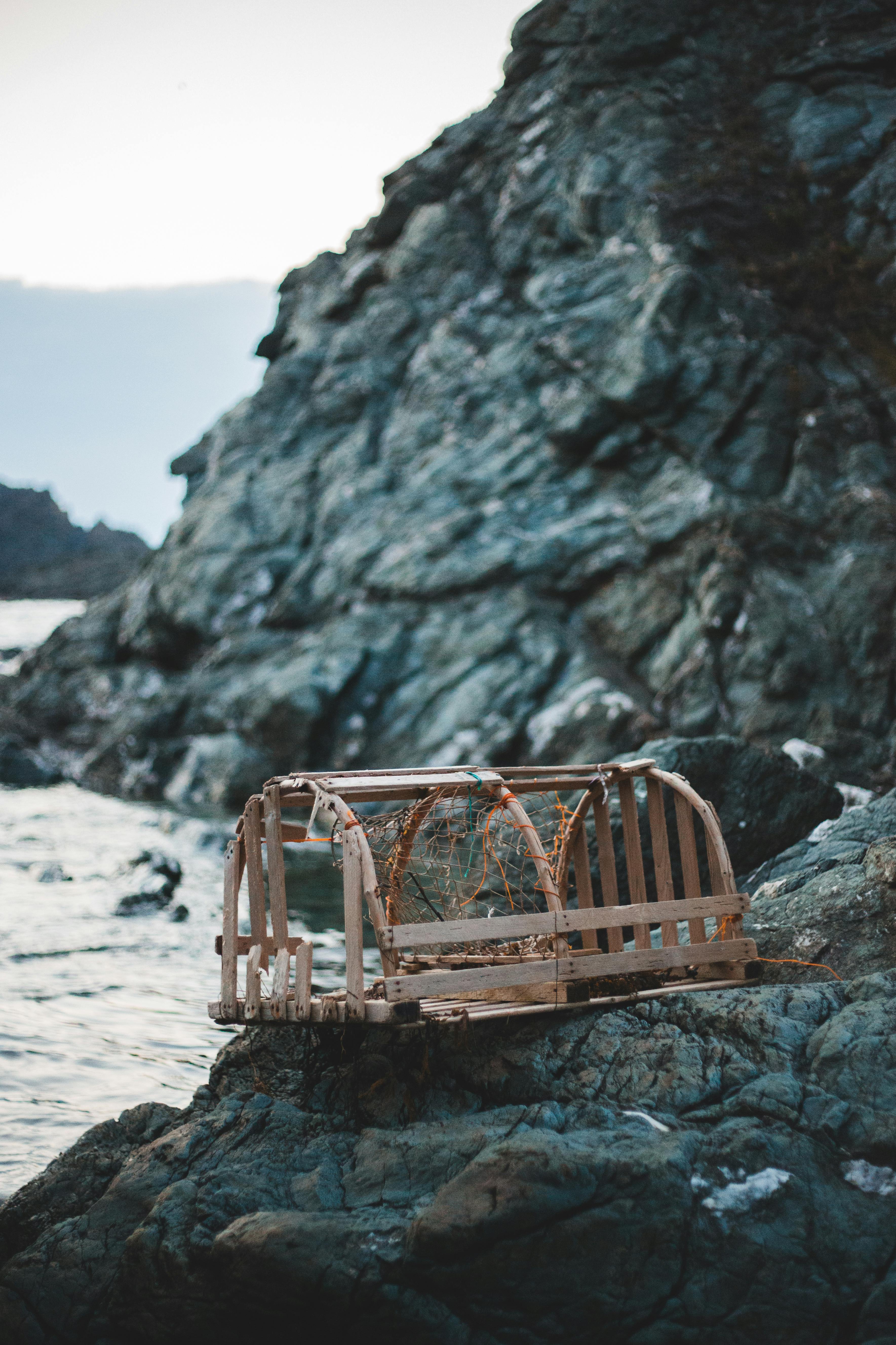 Broken Wooden Fish Trap on Rock · Free Stock Photo