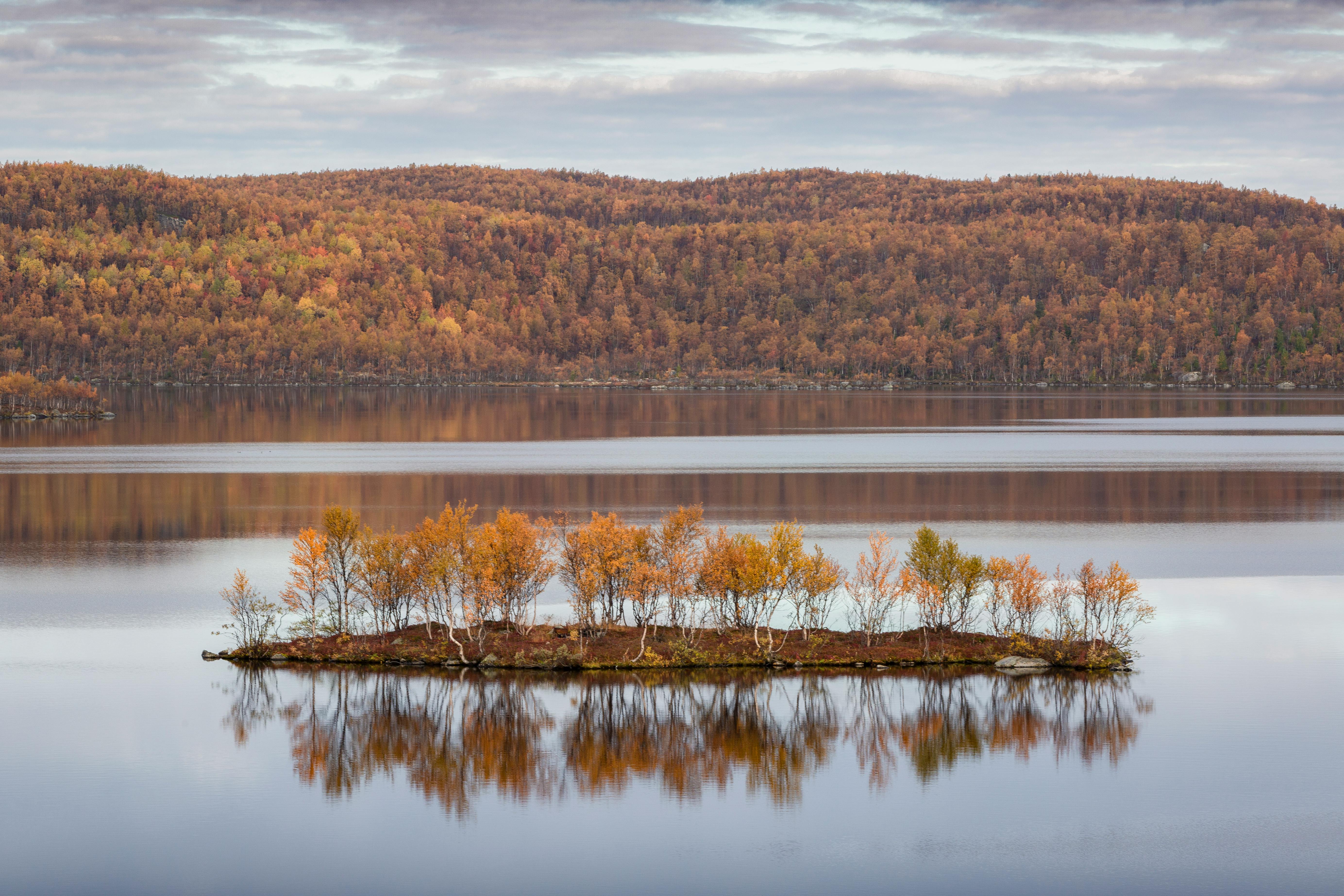 Lake and Island with Forest in Autumn Color on the Hills · Free Stock Photo