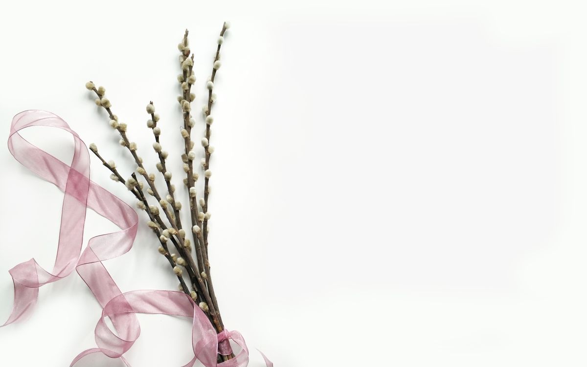 Spring Background Photos, Download The BEST Free Spring Background ...