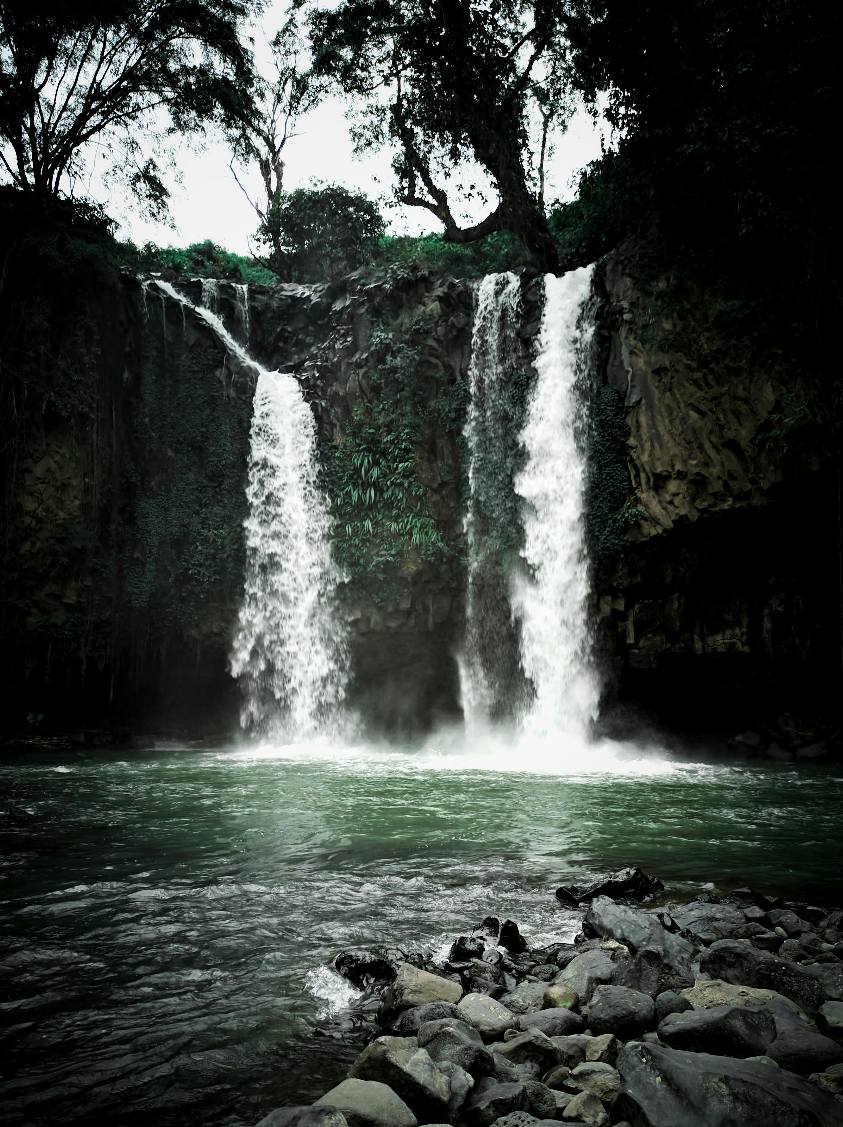 Two Waterfalls in Jungle · Free Stock Photo