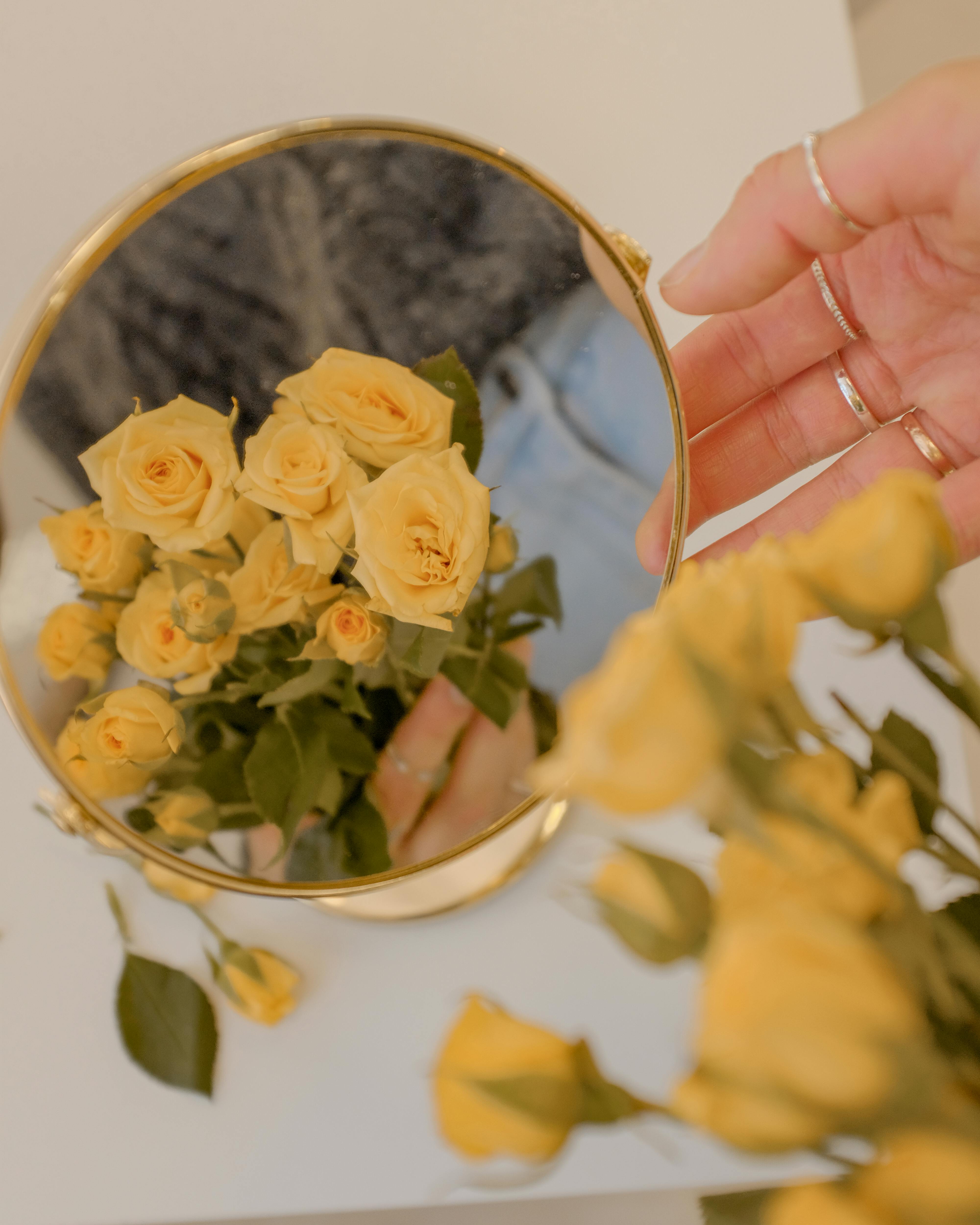 White Petaled Flower Reflection From Small Round Mirror · Free Stock Photo