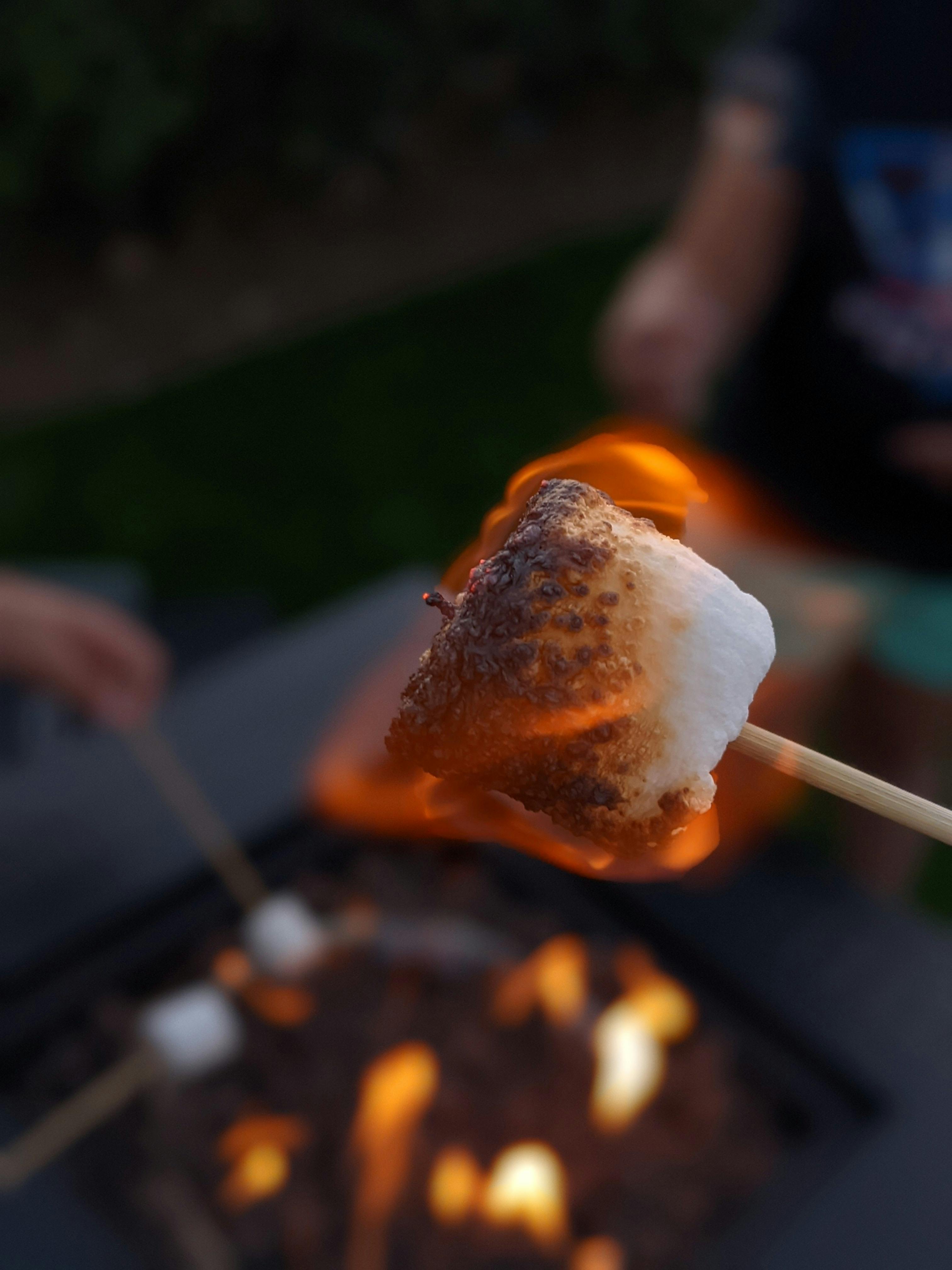 Close Up Photo of a Burning Marshmallow · Free Stock Photo