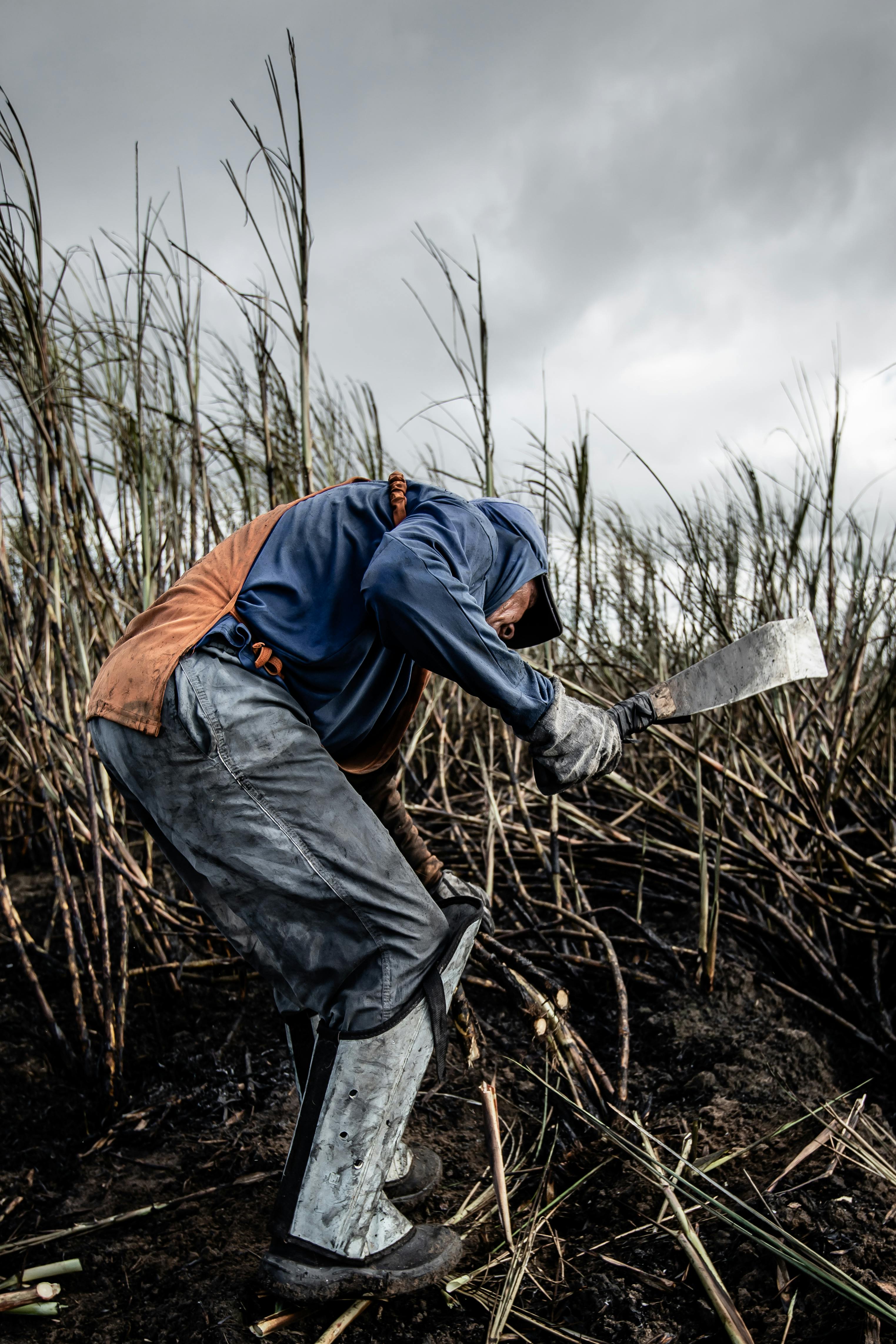 Two Workers Cutting a Metal Beam with a Saw · Free Stock Photo
