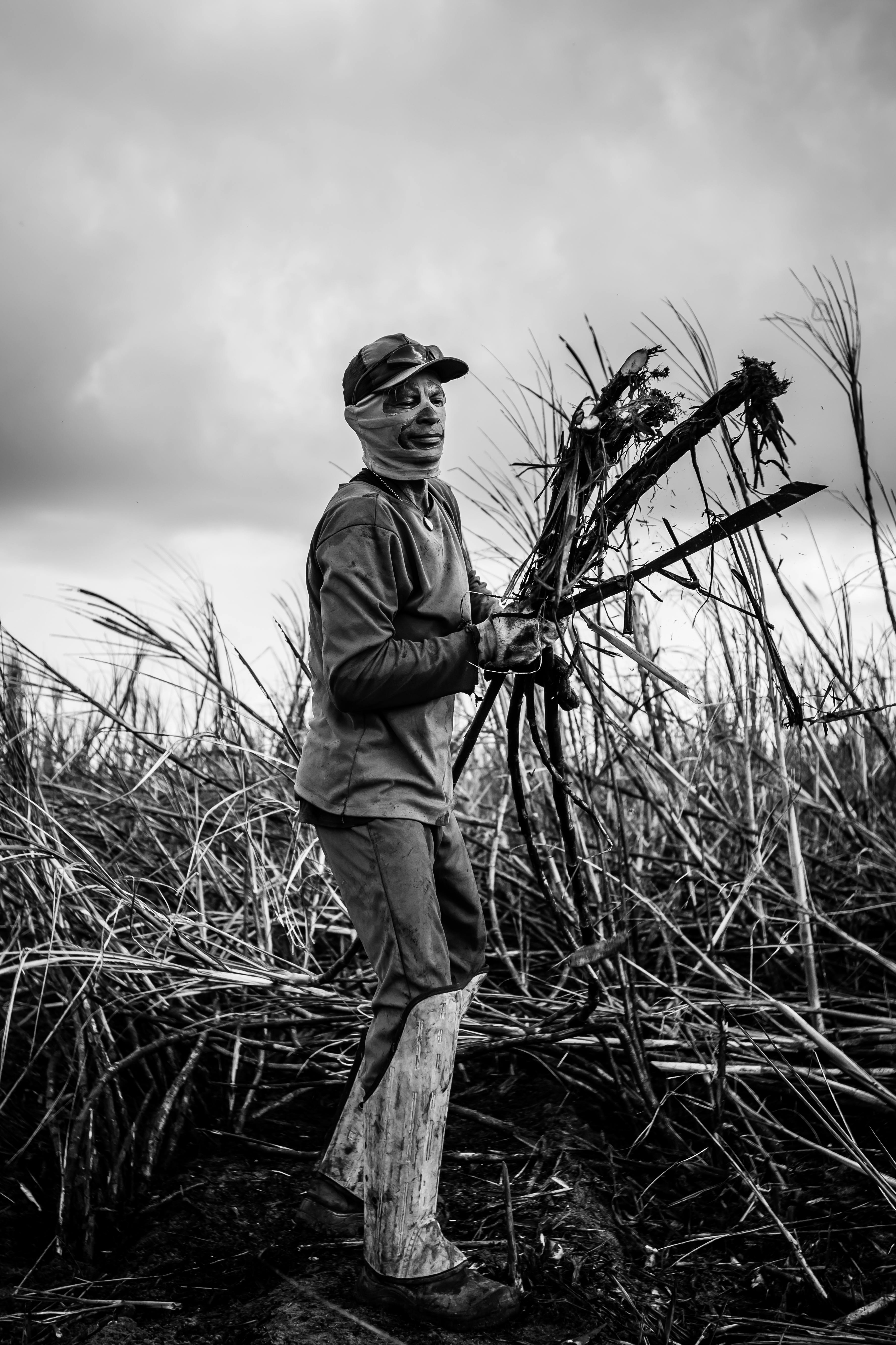 A Man Constructing a Hallow Blacks Wall · Free Stock Photo