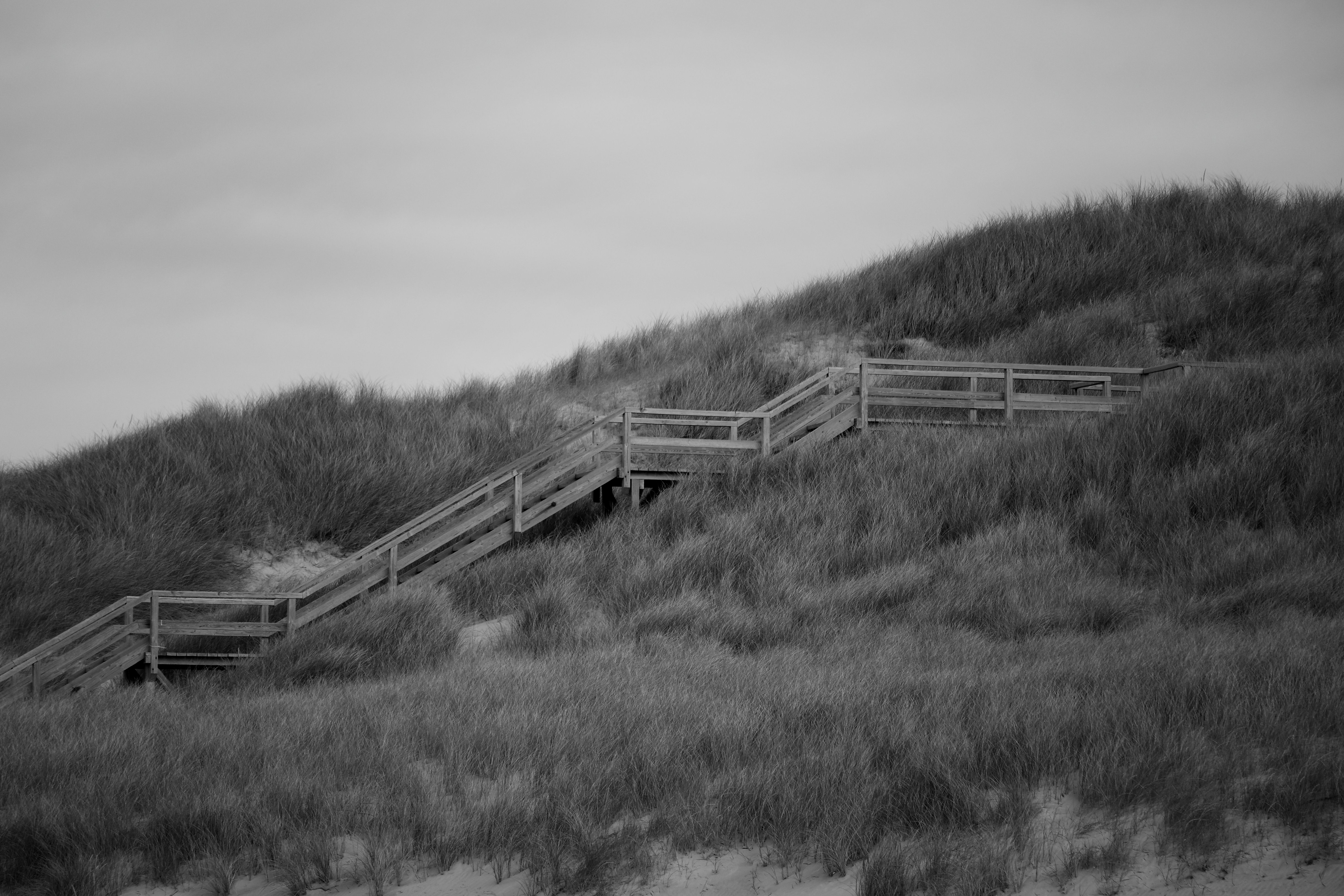 10+ Best Greyscale Photos · 100% Free Download · Pexels Stock Photos