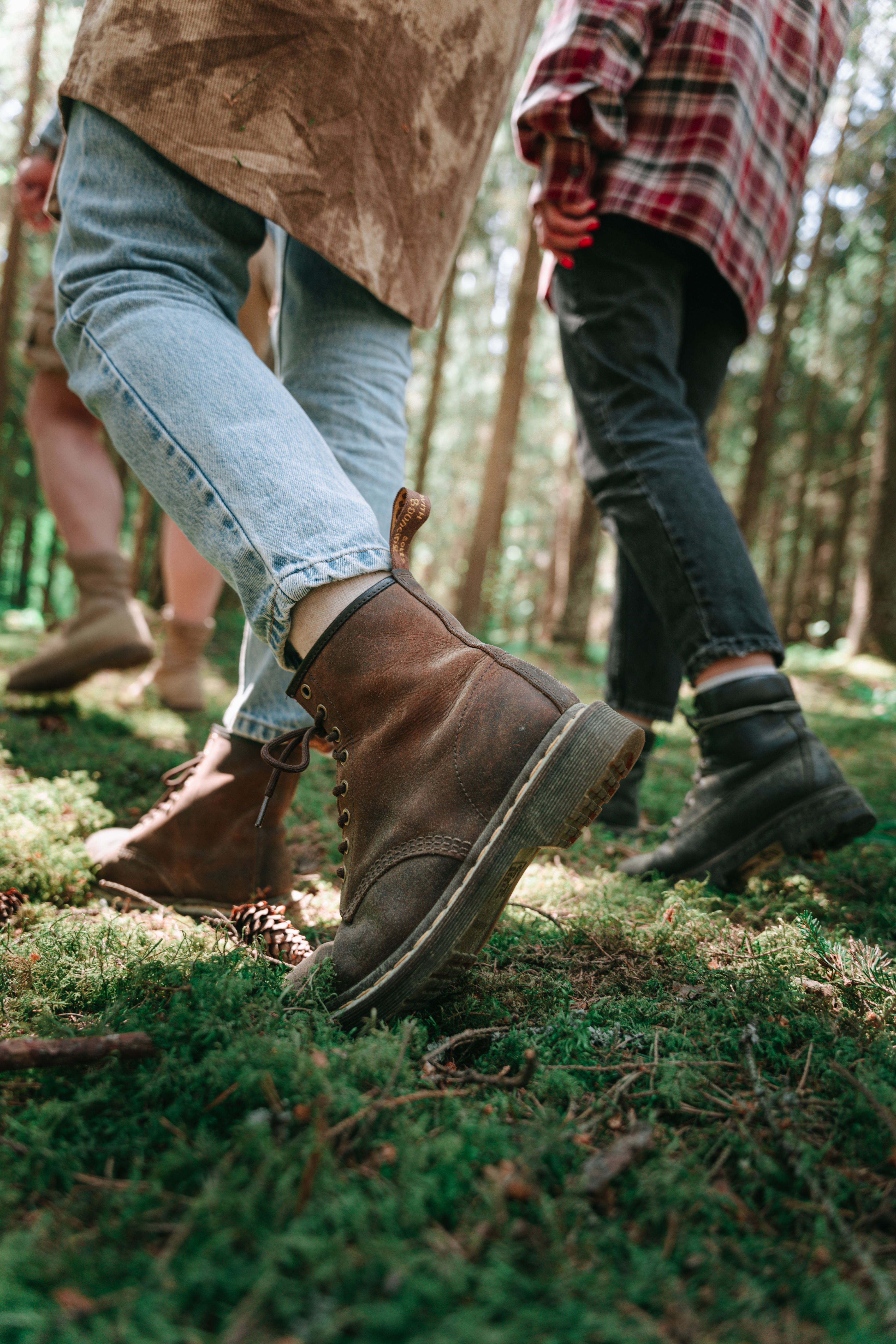 Walking Path Horizontal In Trees Photos, Download The BEST Free Walking ...