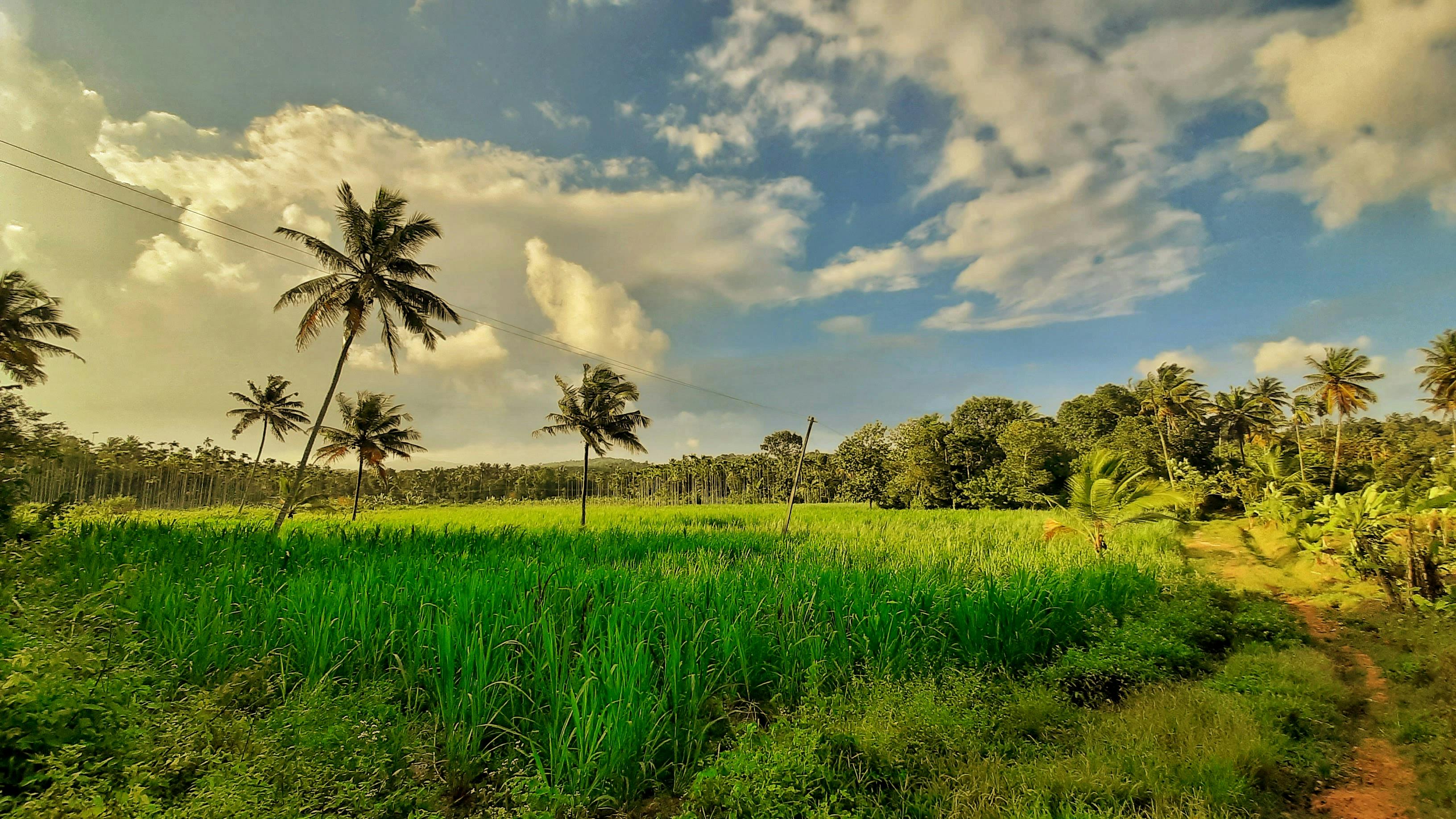 Binil Babu - Photography