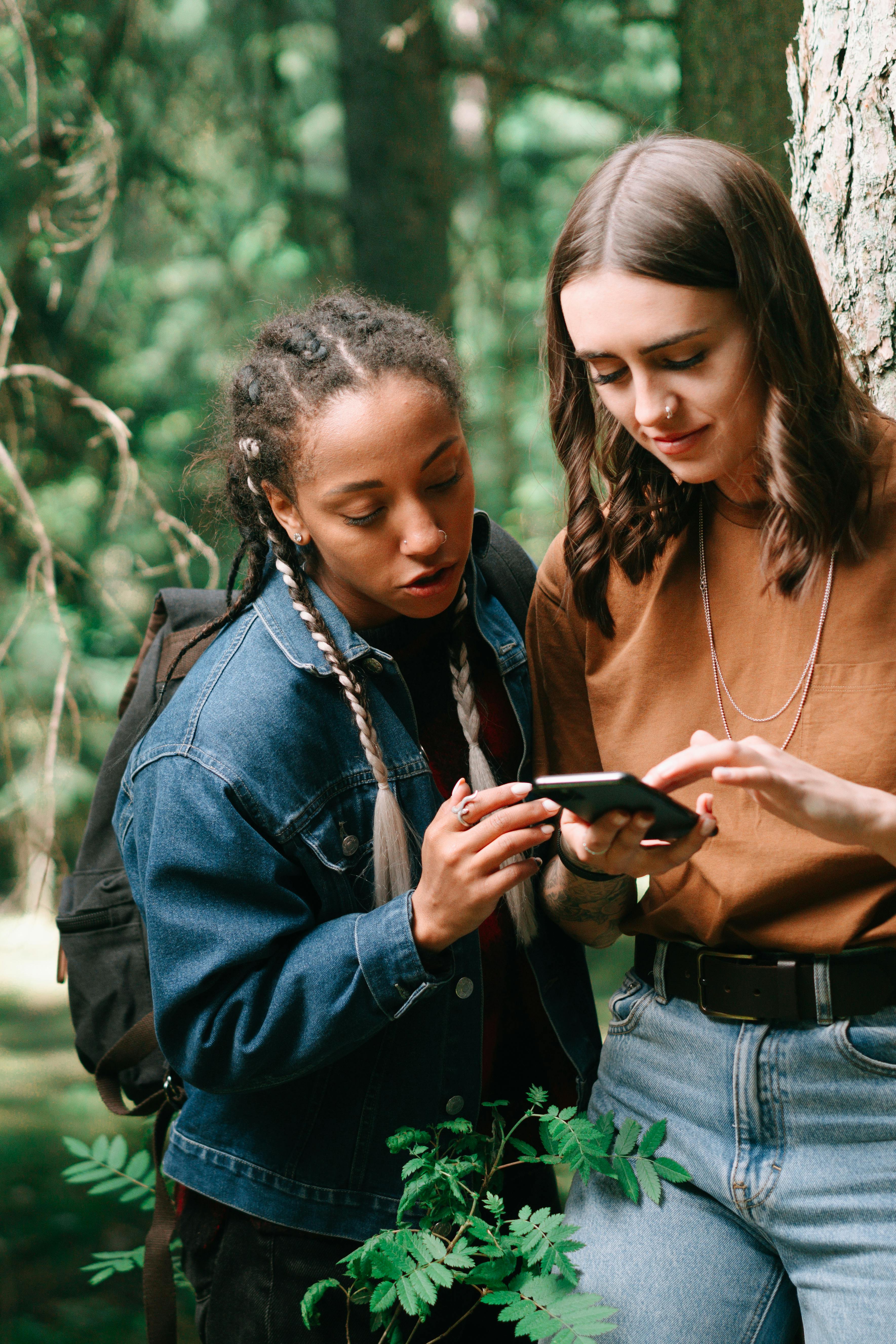 Rede De Internet Photos, Download The BEST Free Rede De Internet Stock ...