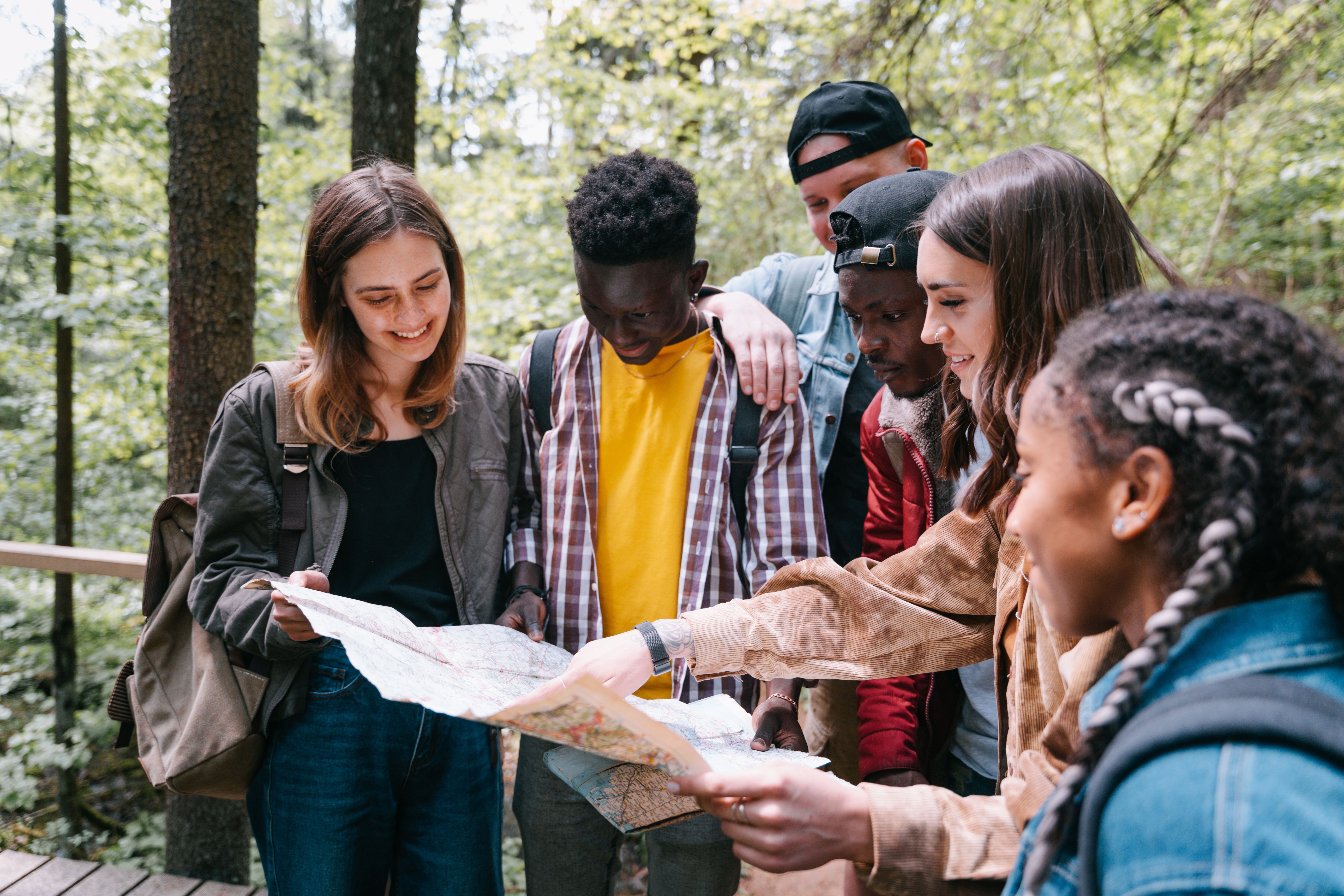 People Looking at a Paper · Free Stock Photo