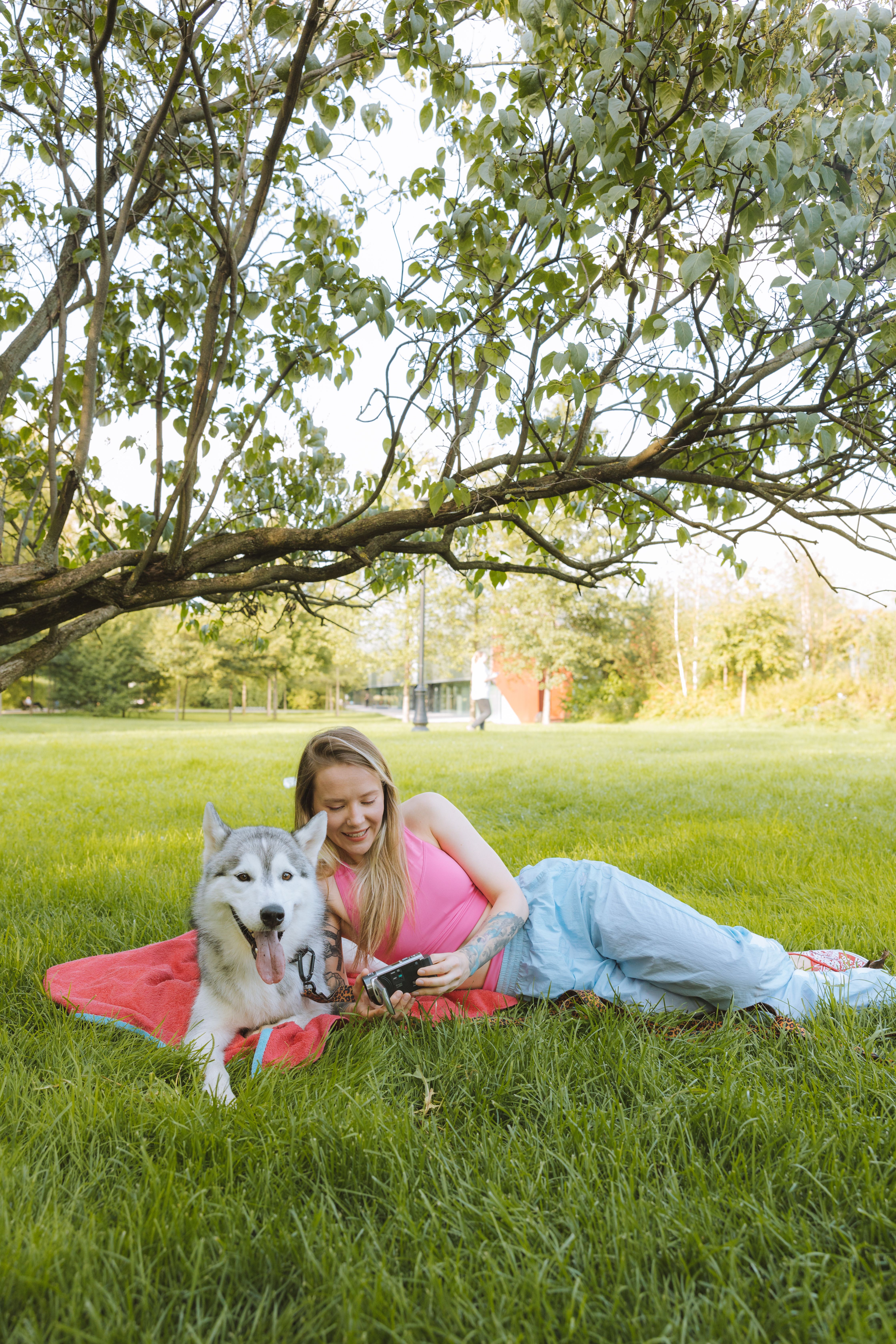 Dog Bite Arm Photos, Download The BEST Free Dog Bite Arm Stock Photos ...