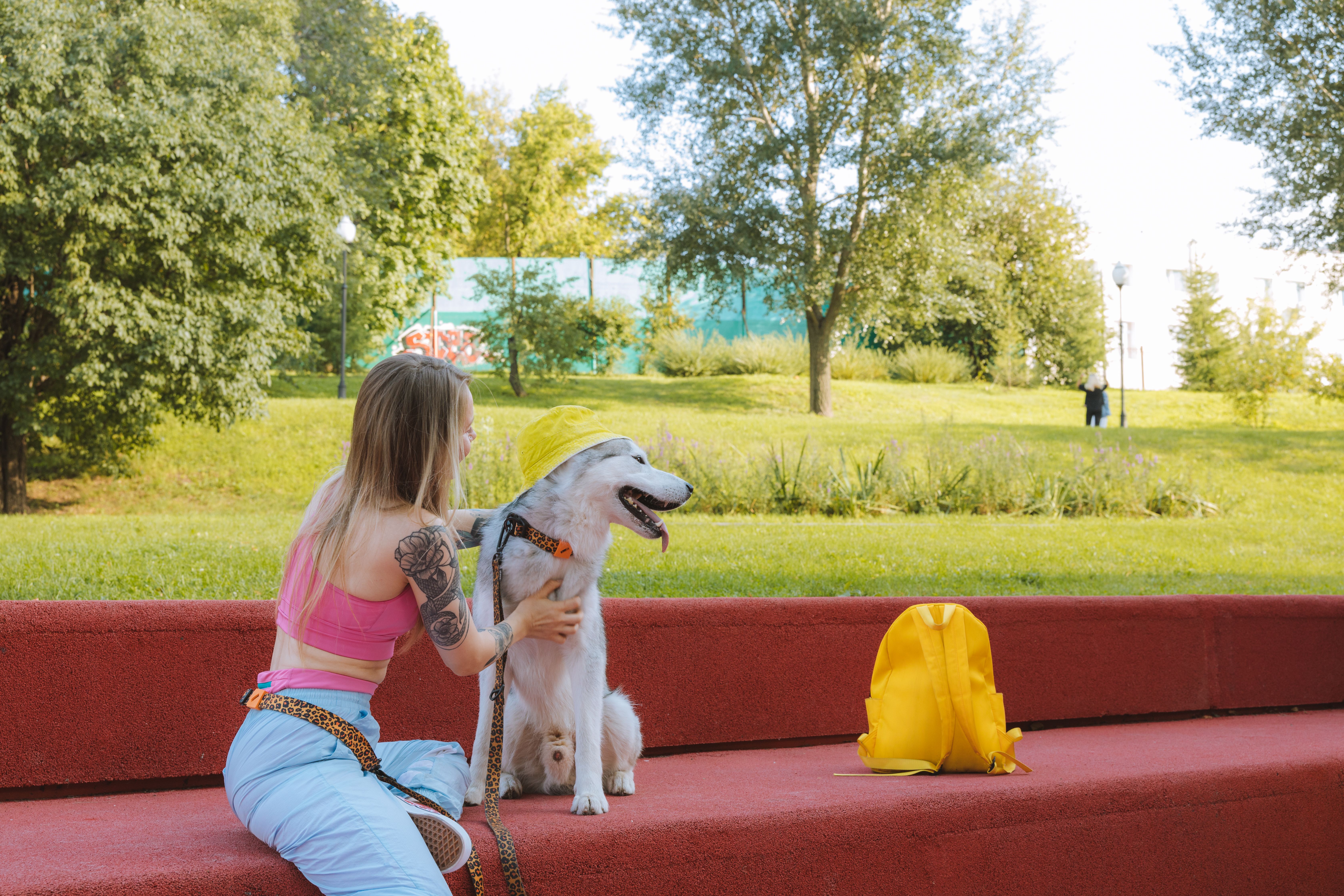 Woman Training a Dog · Free Stock Photo