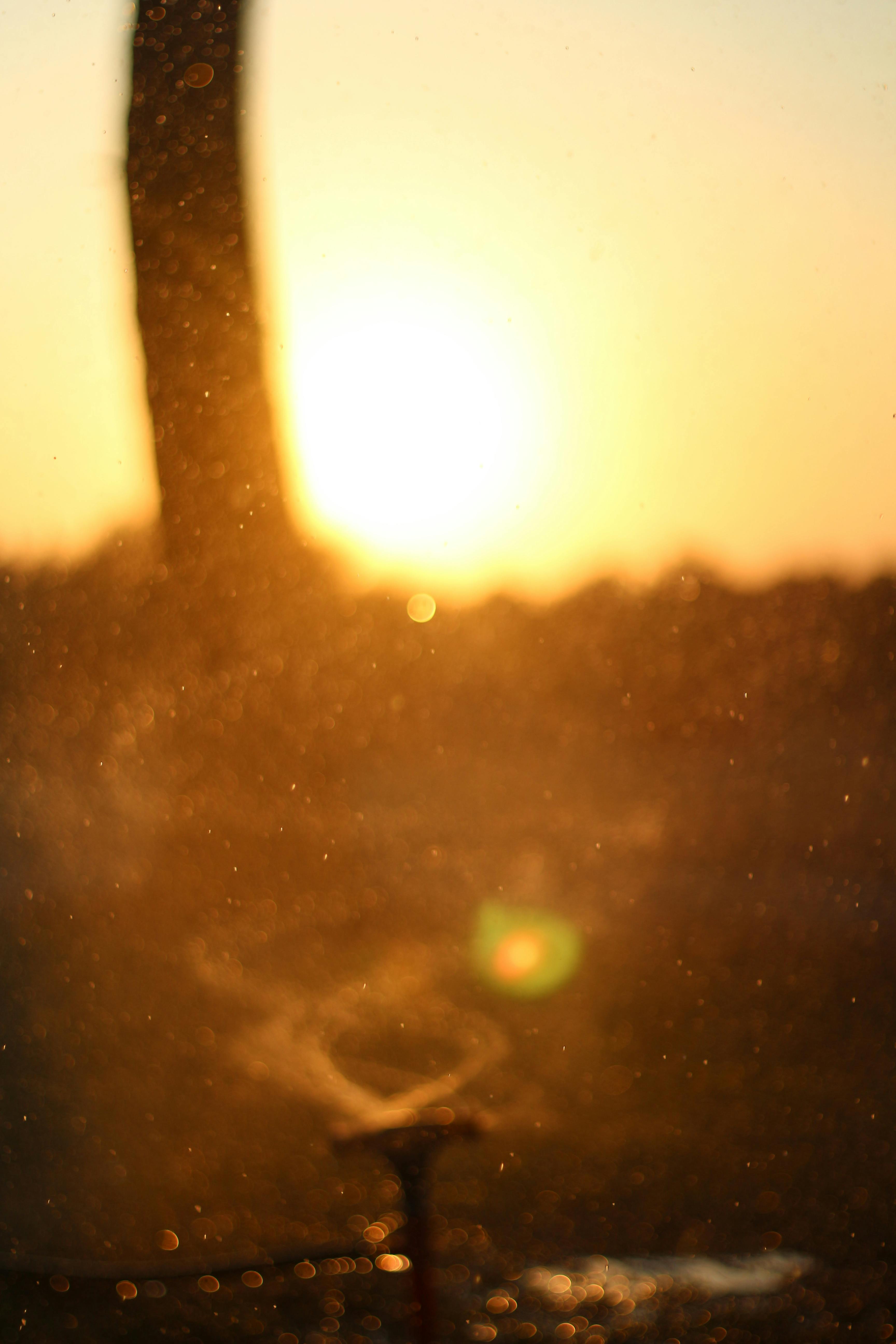 Glowing Sun Photos, Download The BEST Free Glowing Sun Stock Photos ...