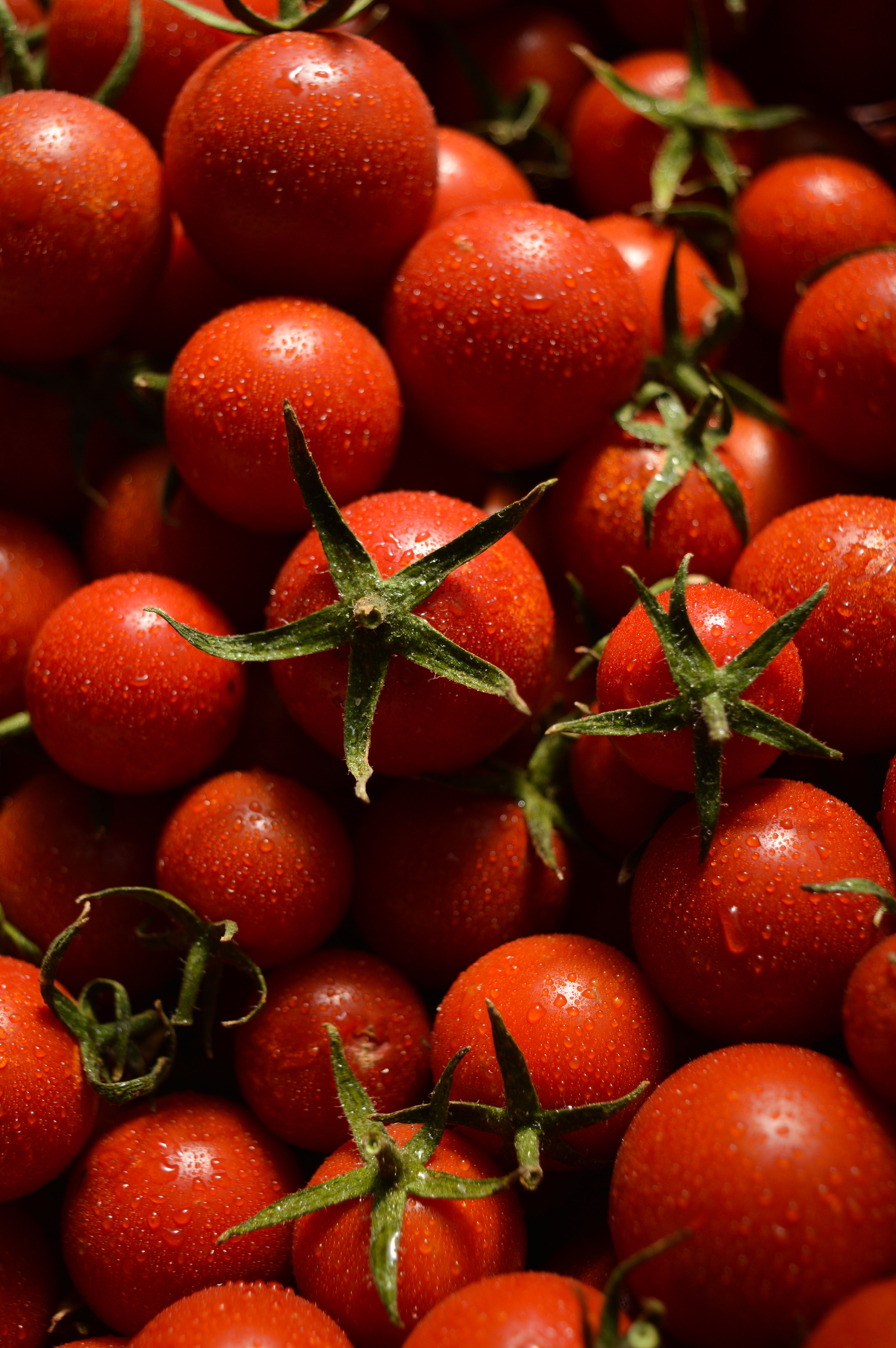 Orange Round Fruit · Free Stock Photo