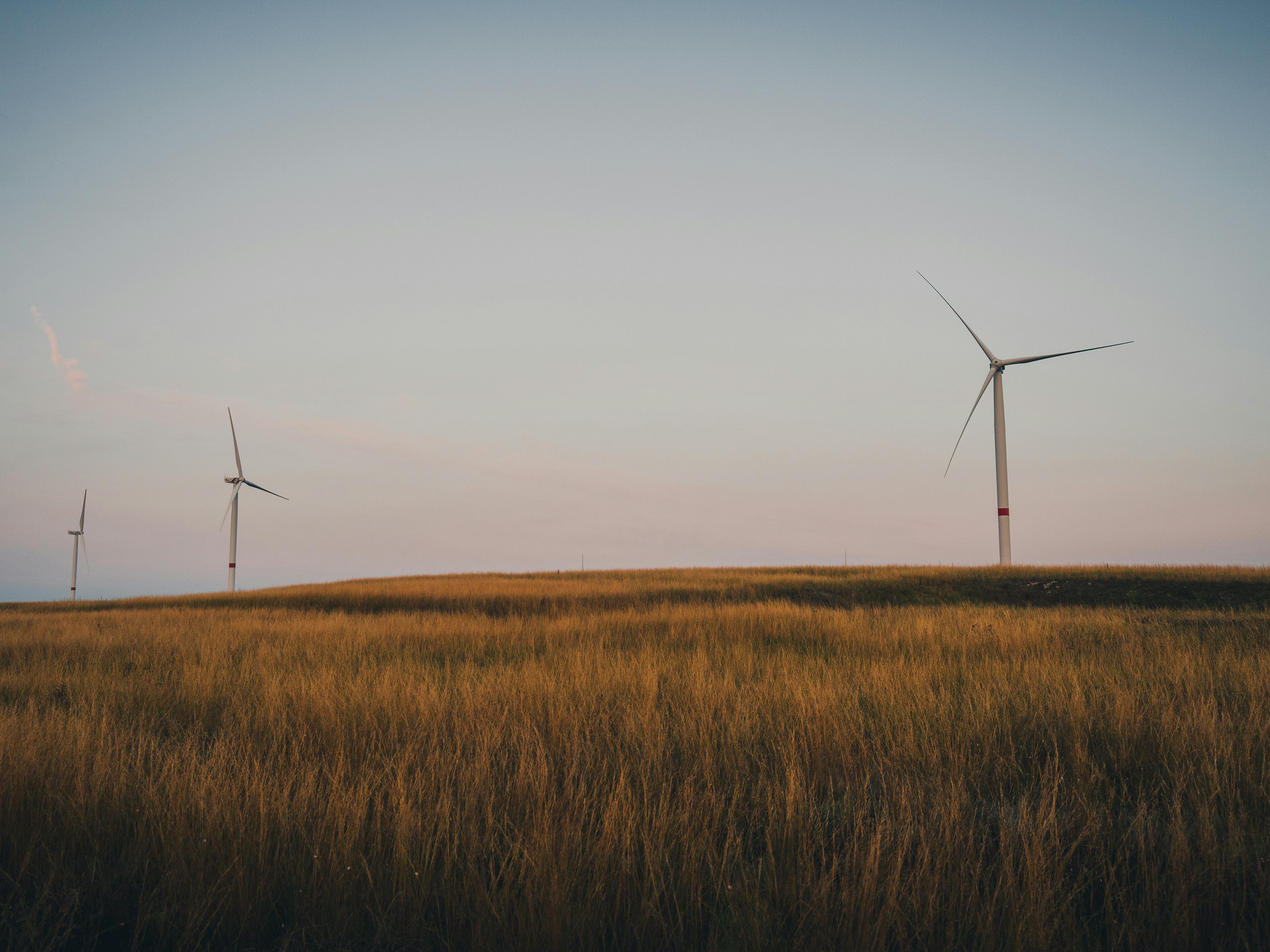 Scenic View of Wind Turbines on Grass Field during Sunset · Free Stock ...