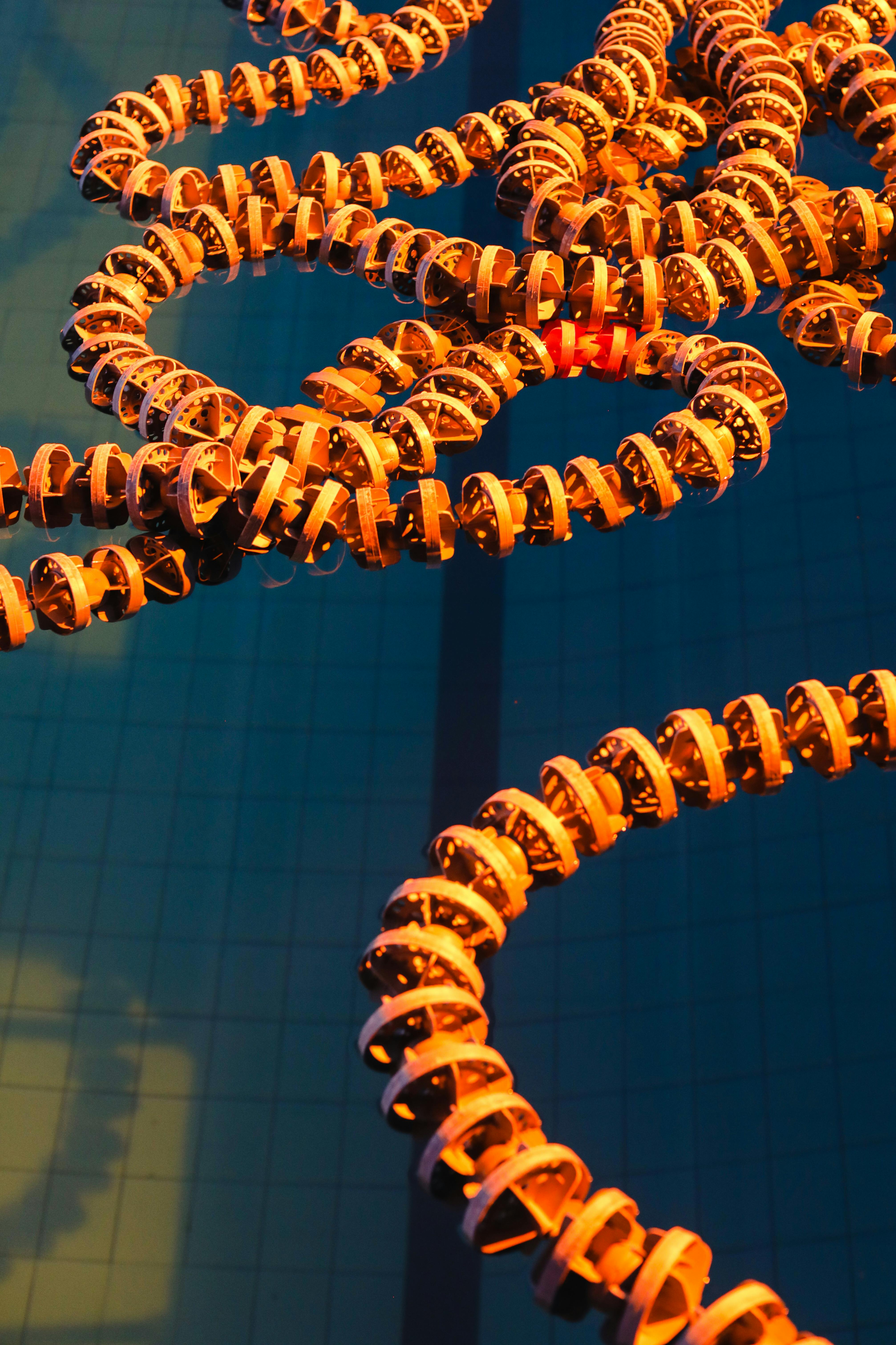 40+ Best Helix Photos · 100% Free Download · Pexels Stock Photos