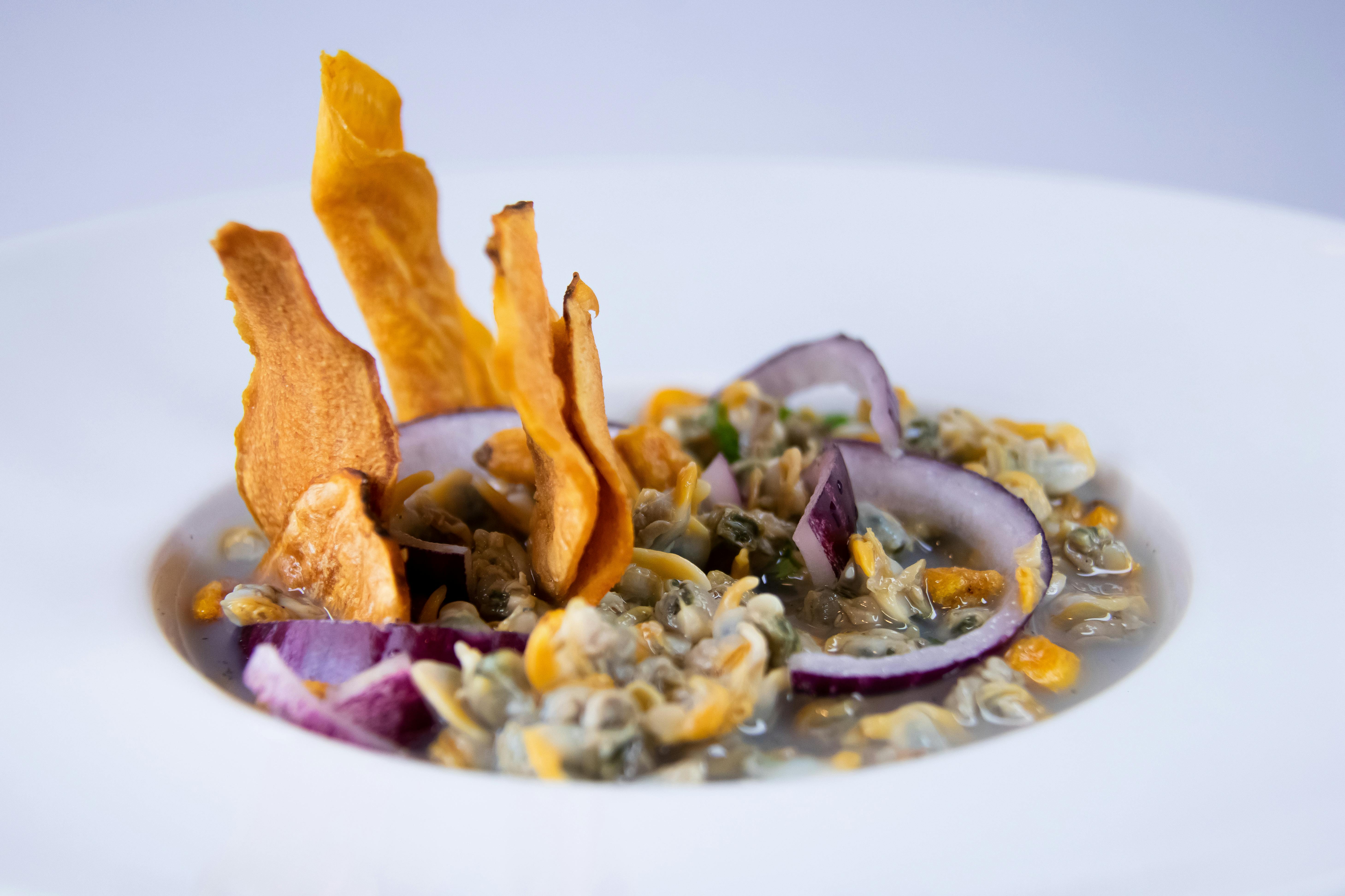 Close-up of a Traditional Dish · Free Stock Photo