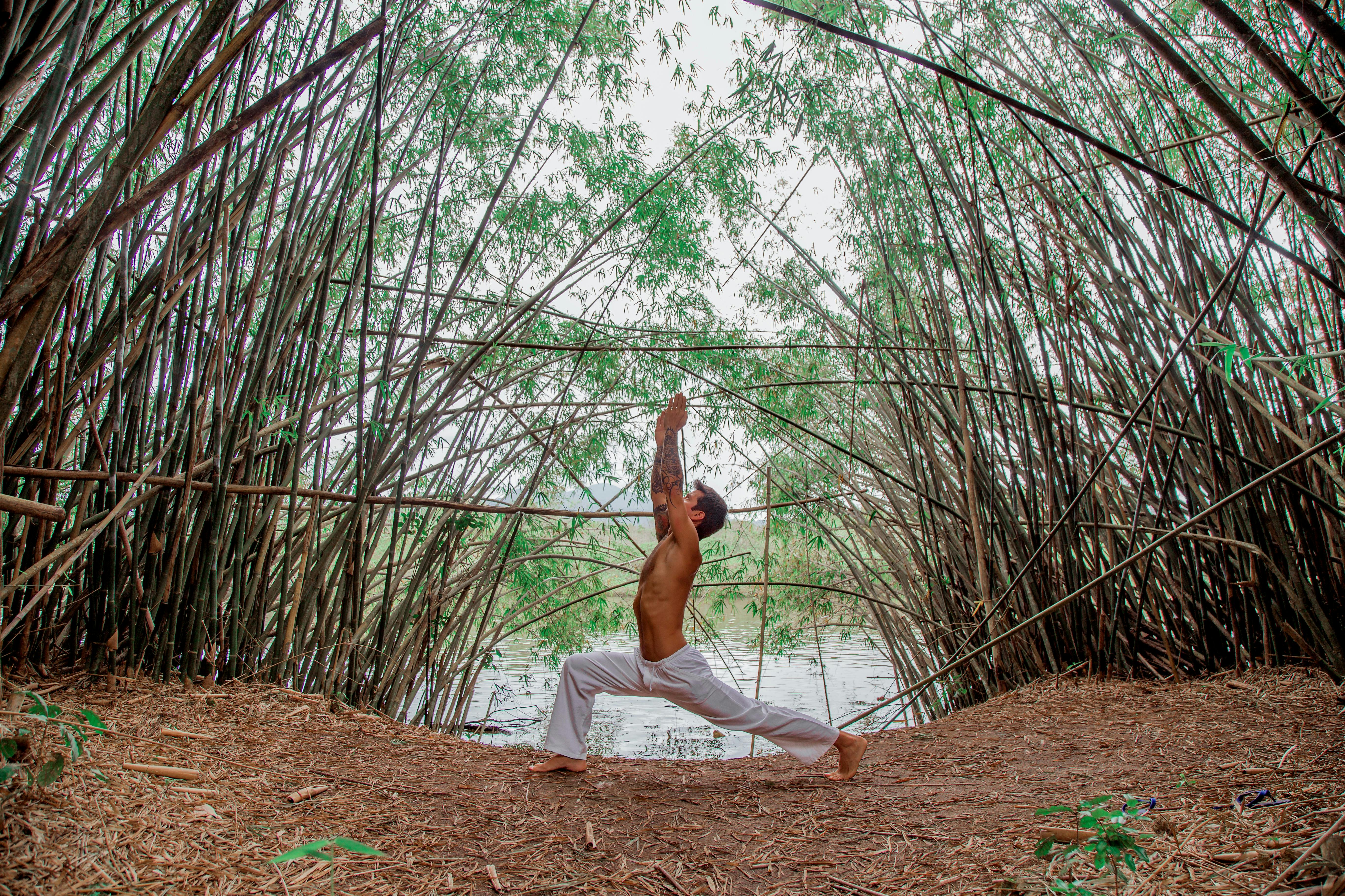 Man Practicing Yoga in Forest · Free Stock Photo