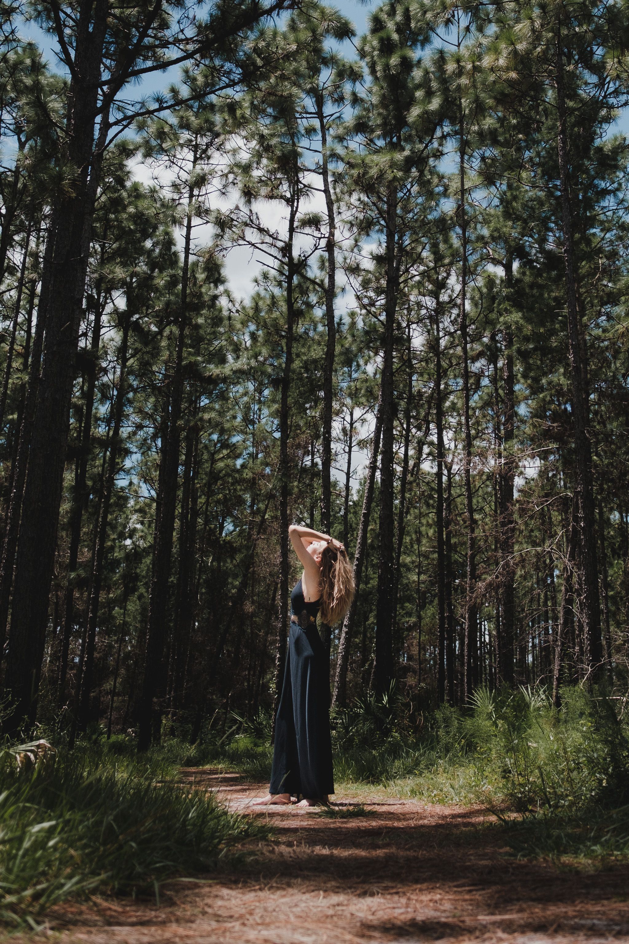 Landslide in a Forest · Free Stock Photo