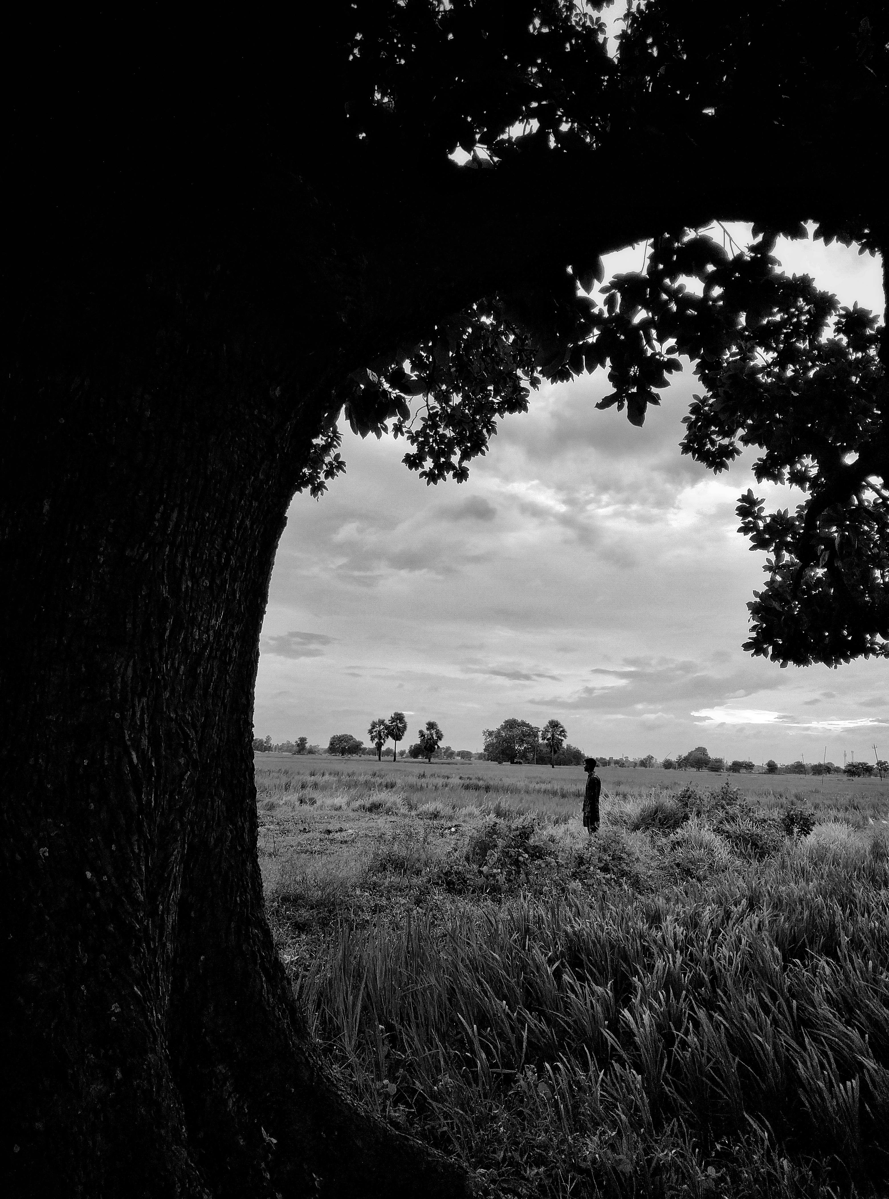 Openwork Construction on Suburb · Free Stock Photo