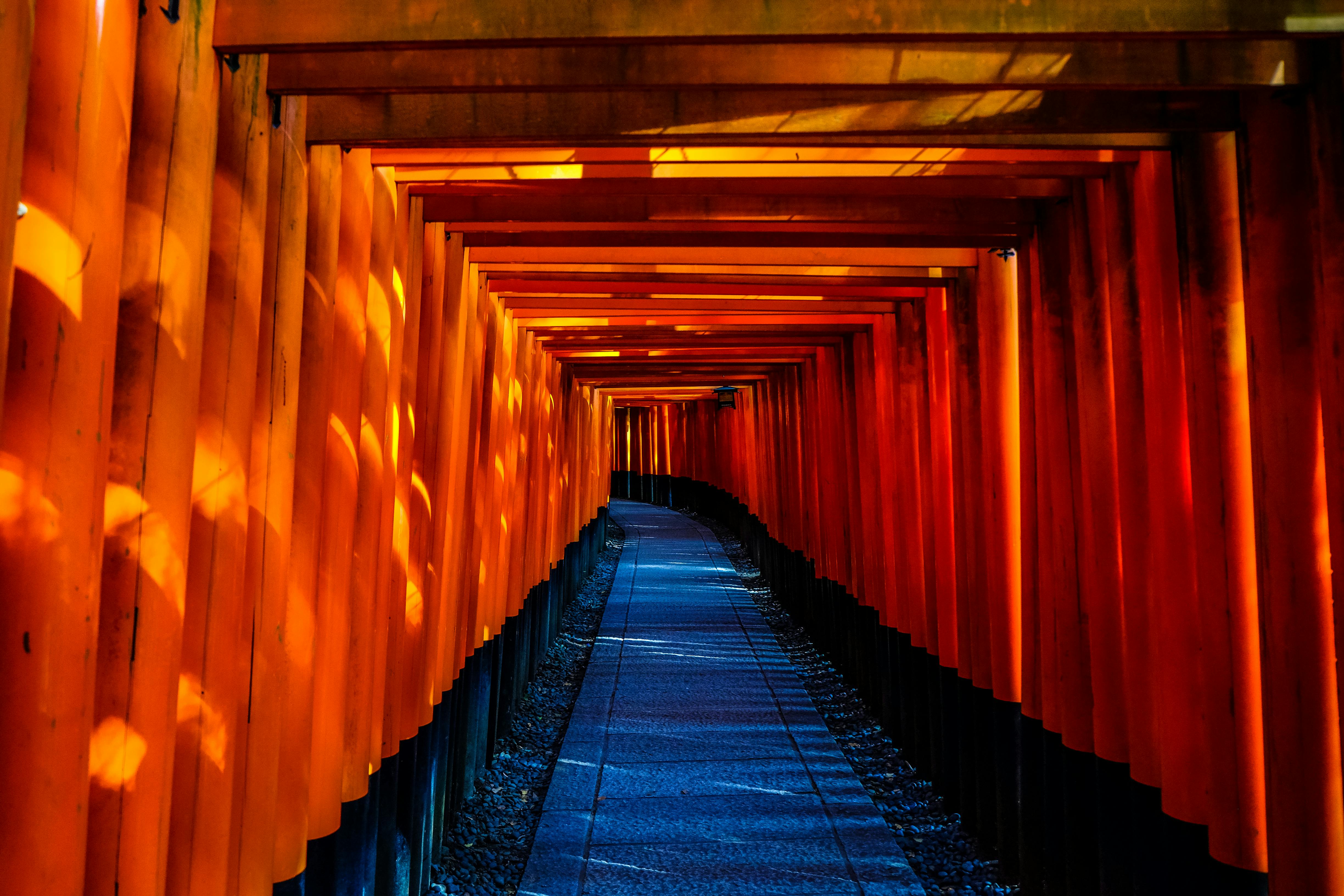 Kostenloses Foto zum Thema: fushimi inari-taisha, japan, tempel
