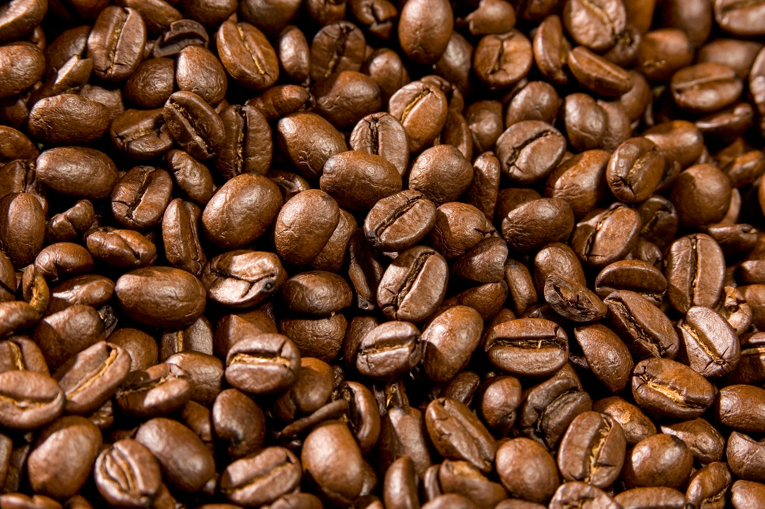 How Are Coffee Beans Digested? | Seven Mountains Coffee