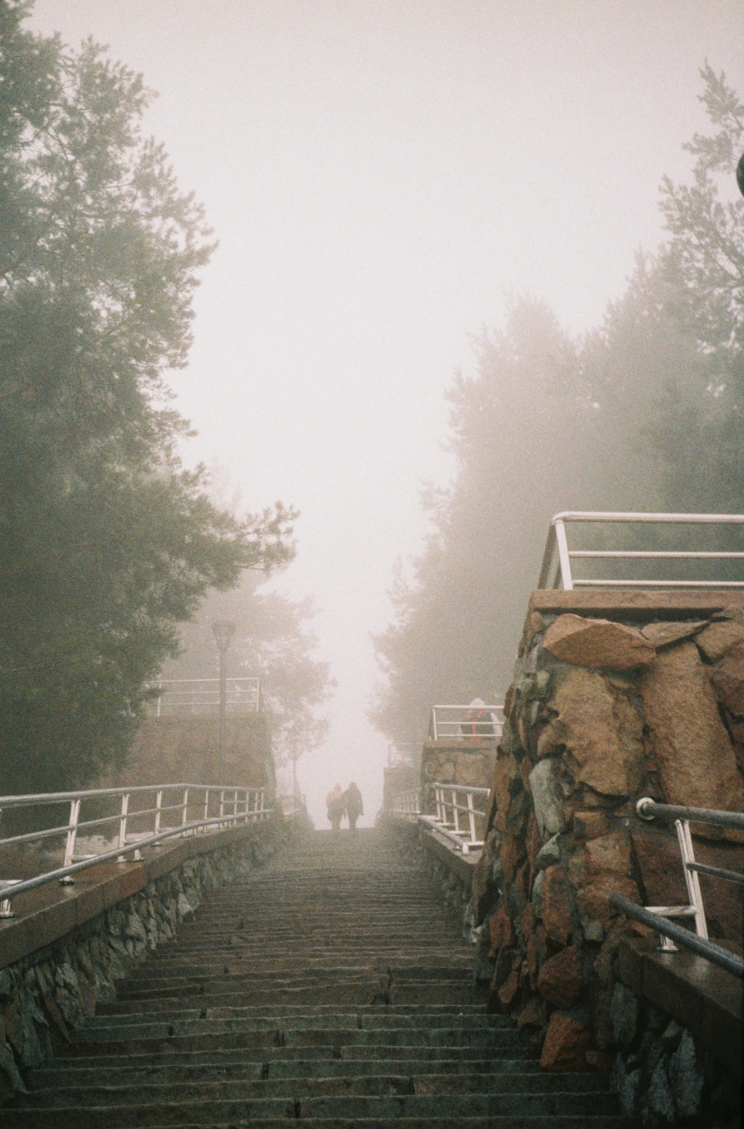 Building Covered with Fog · Free Stock Photo