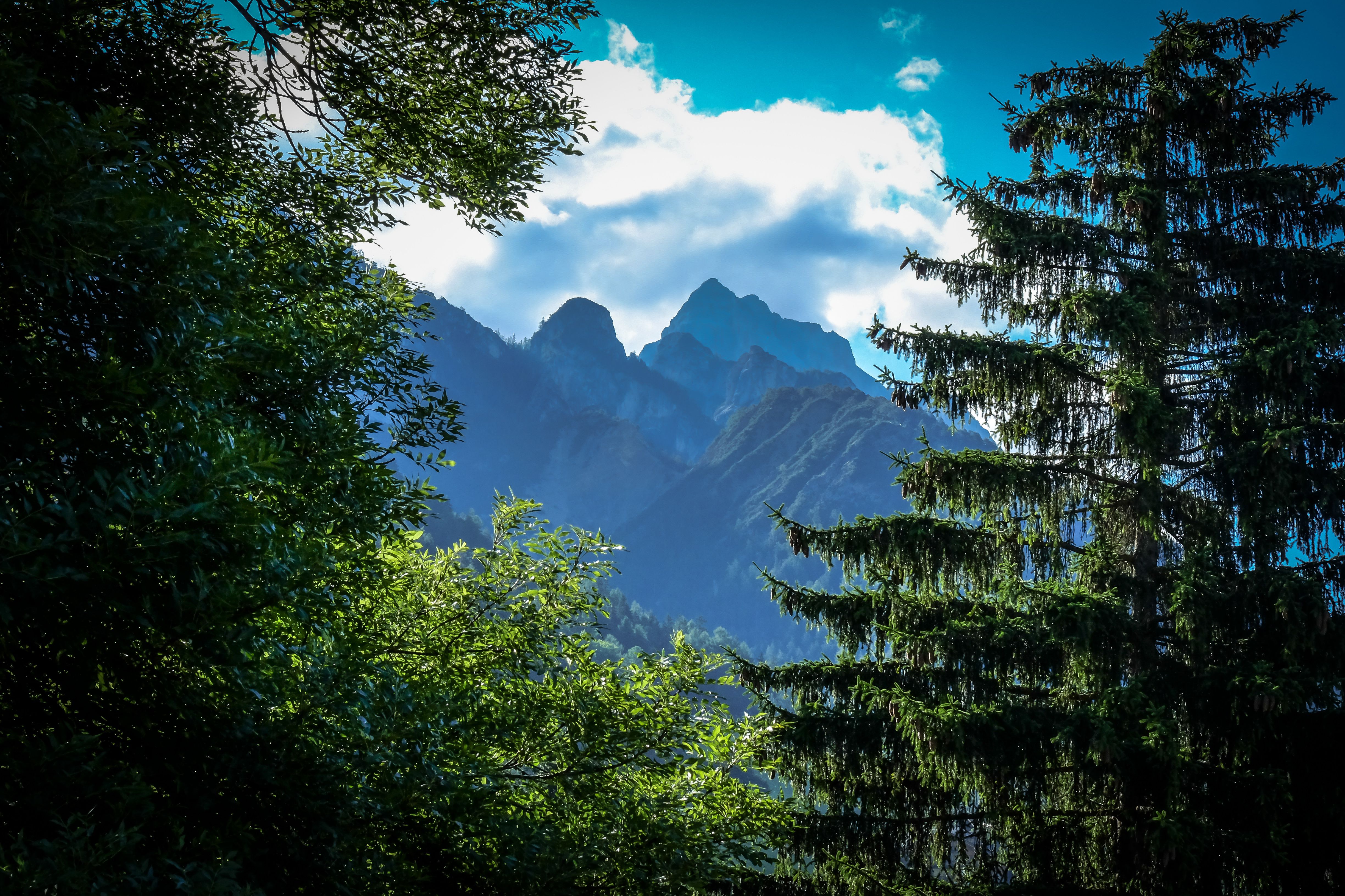 Bright Evergreen Mountains Photos, Download The BEST Free Bright ...