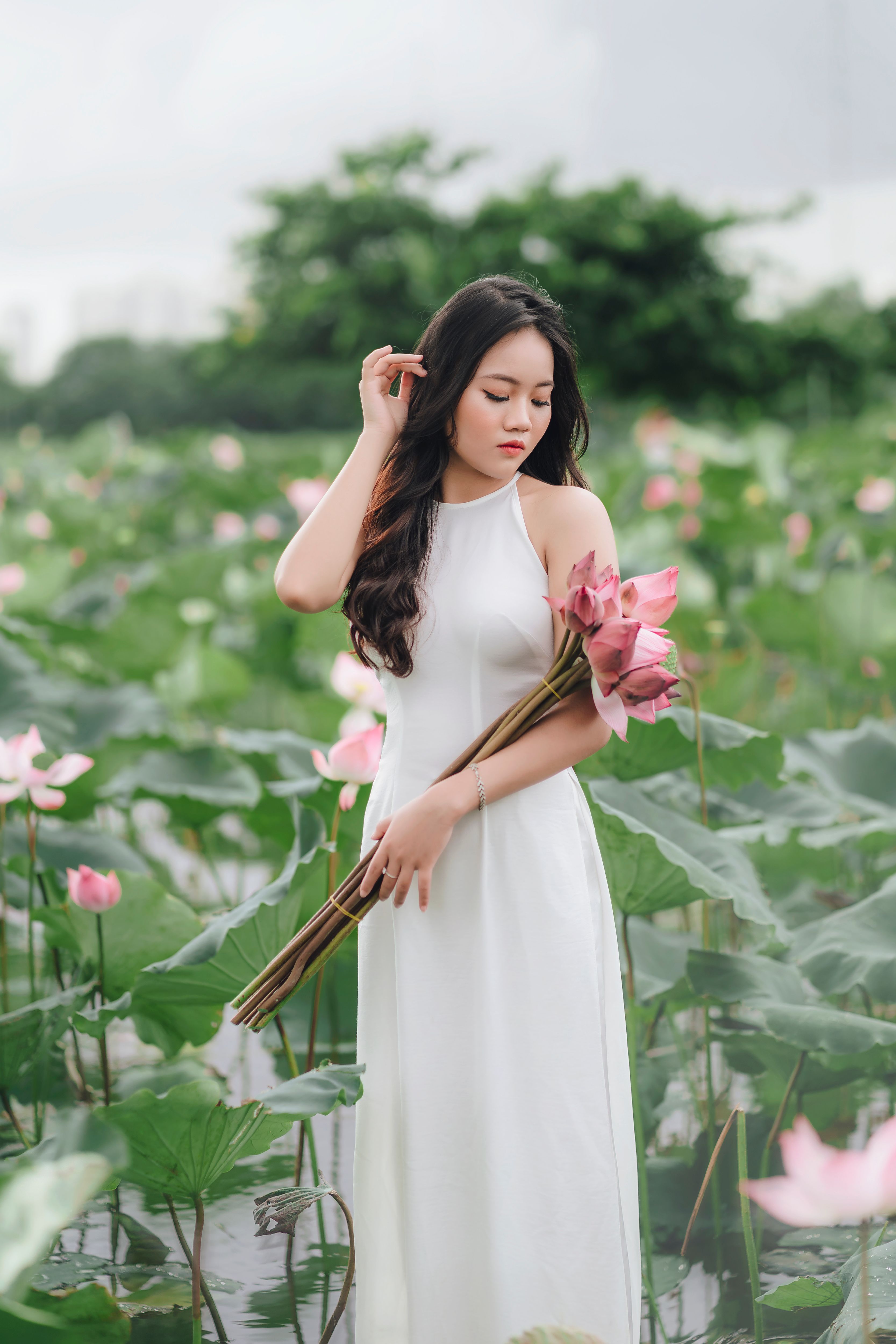 Standing Half Lotus Photos, Download The BEST Free Standing Half Lotus ...