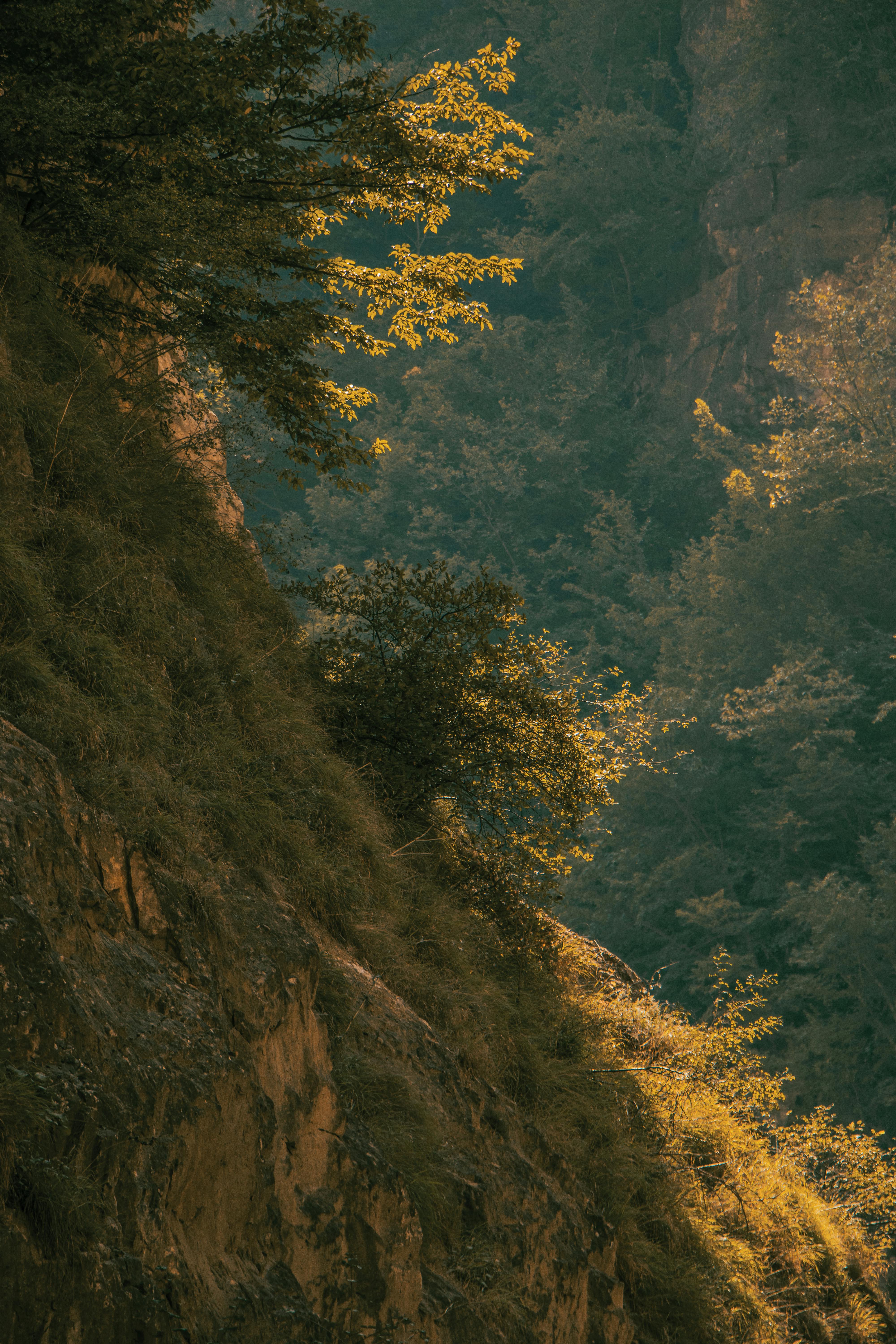 20+ Best Vs Photos · 100% Free Download · Pexels Stock Photos