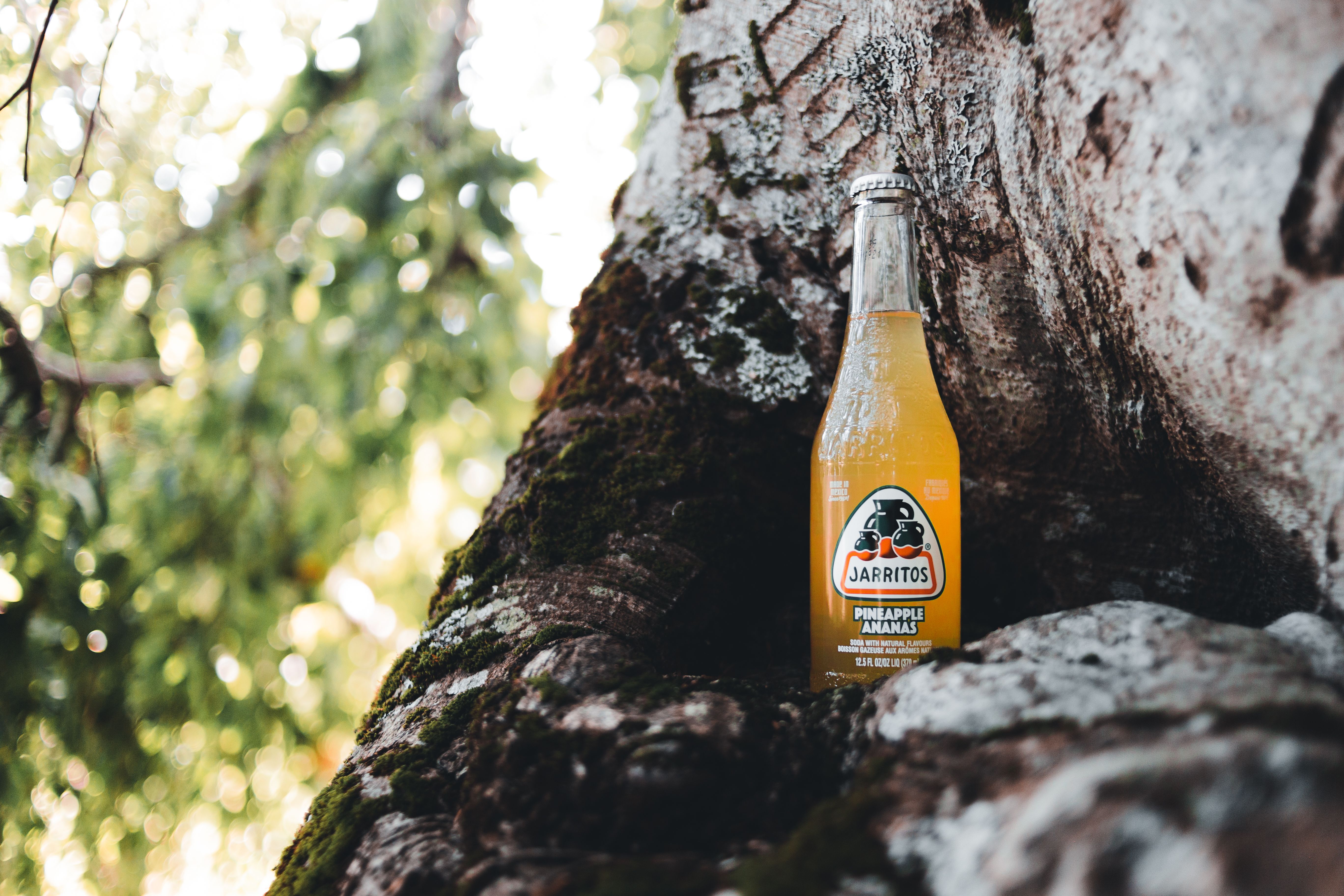 Close-Up Photograph of a Pineapple Drink on a Tree · Free Stock Photo